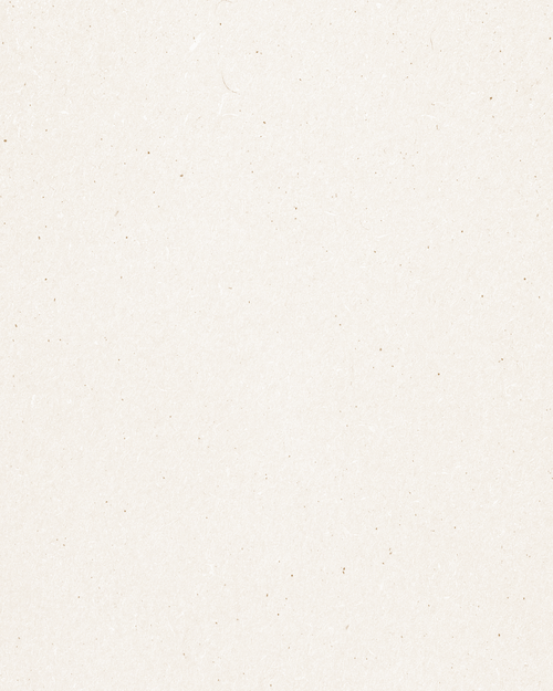 Eileen Potts Photography