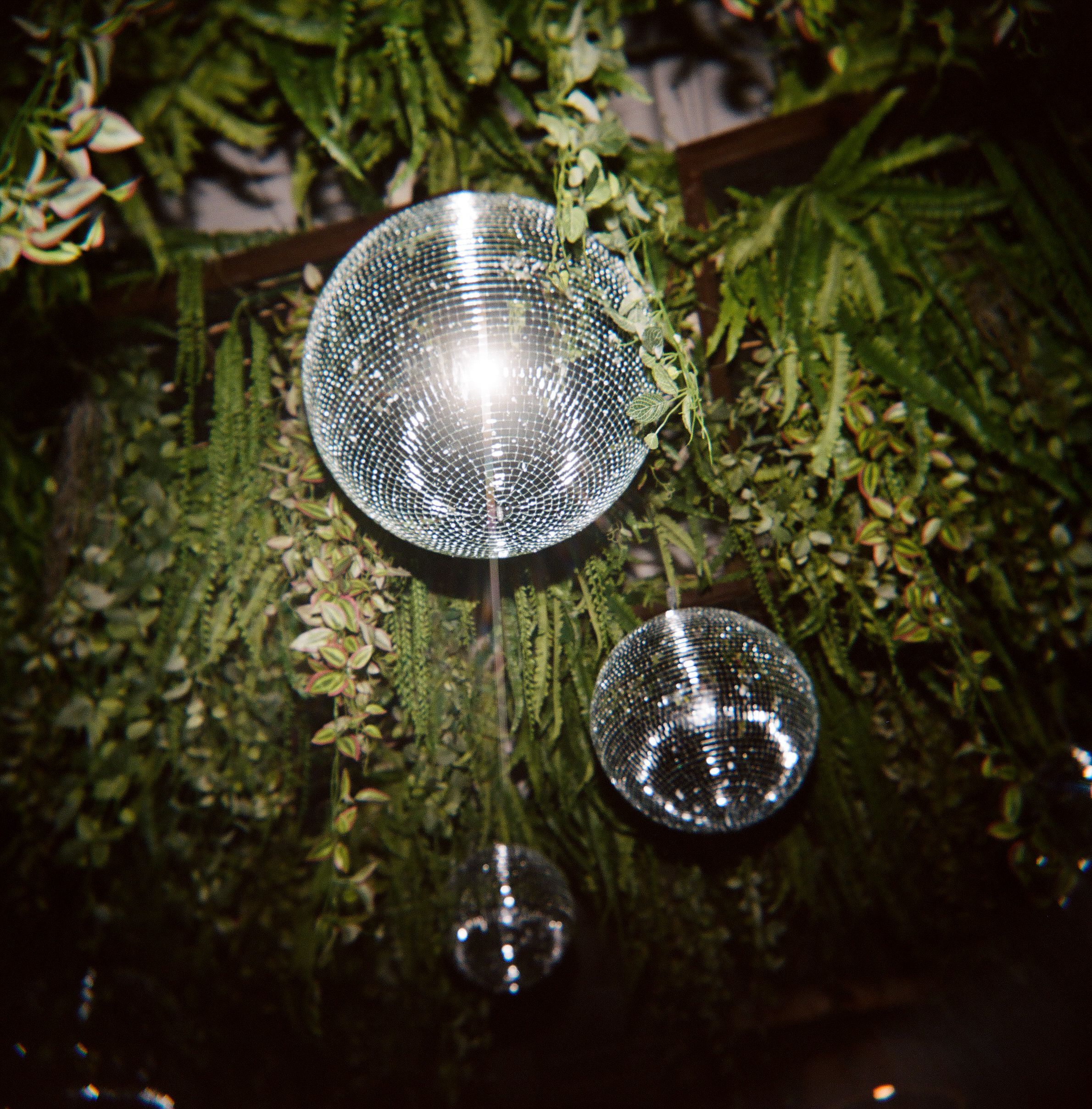 E & G: Elevated Jungle-Disco Wedding at Urbain Daisy in Minneapolis - Minneapolis Documentary ...