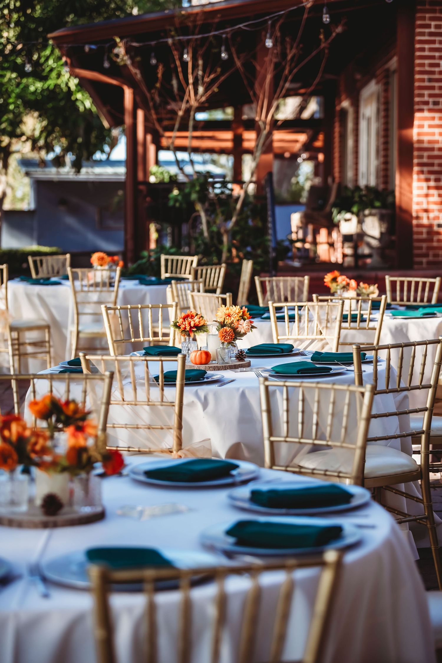 wedding photography in plant city, fl / dreamy portraits - Dreamy Portraits