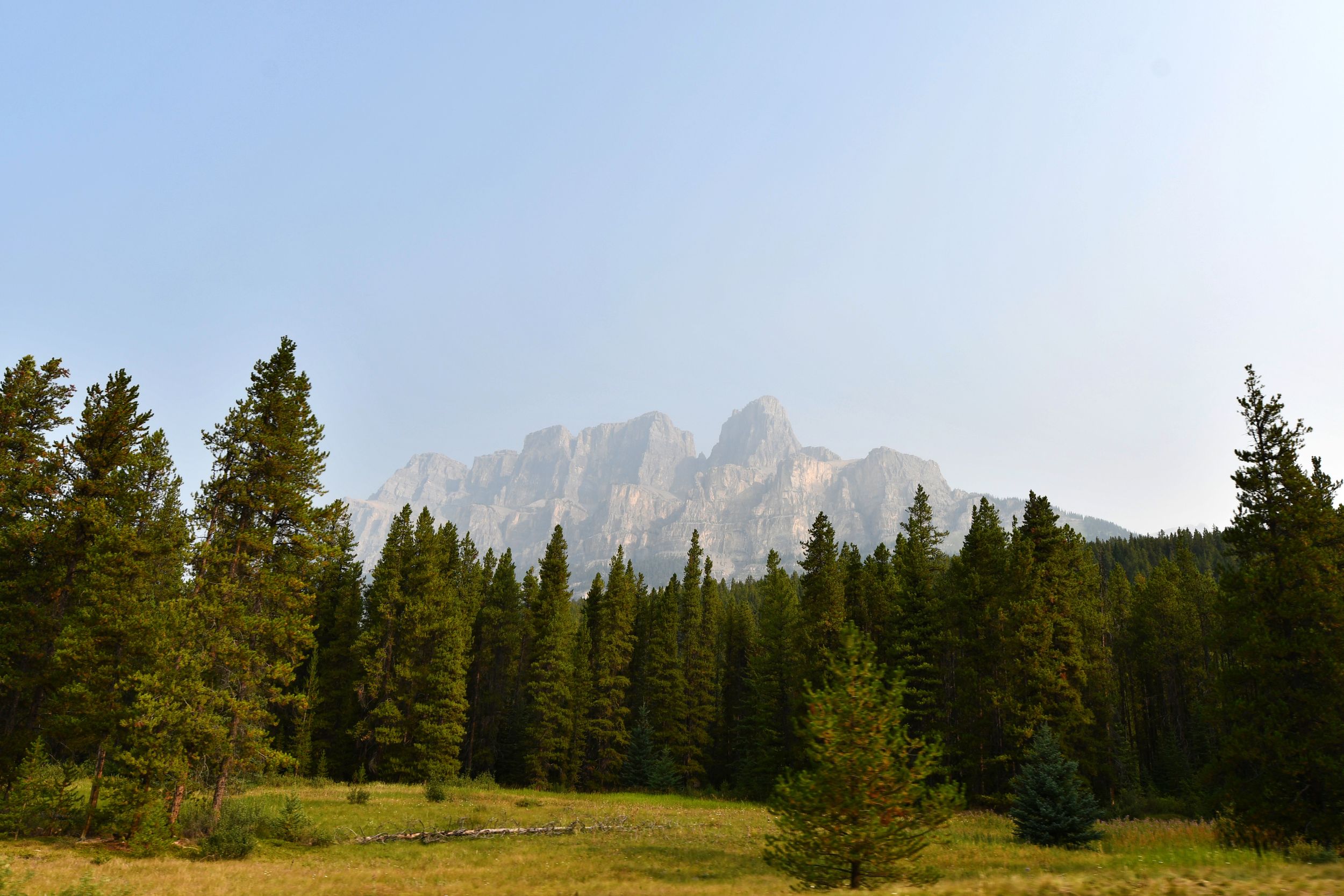 Lauren Overton Photography