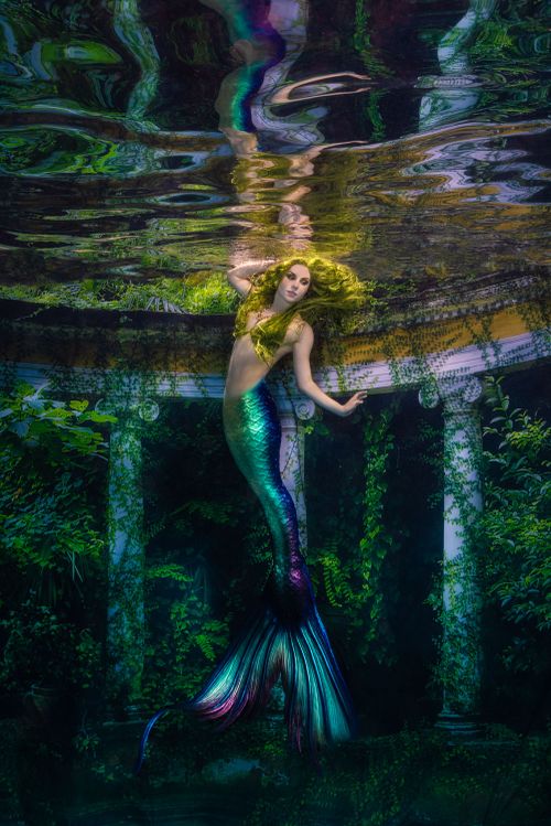 Underwater Photography - Submerge