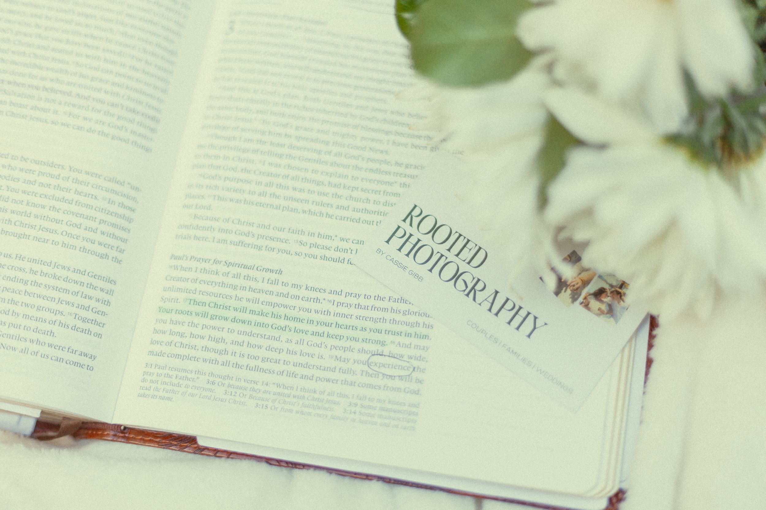 Portfolio - Rooted Photography | NC Wedding Photographer