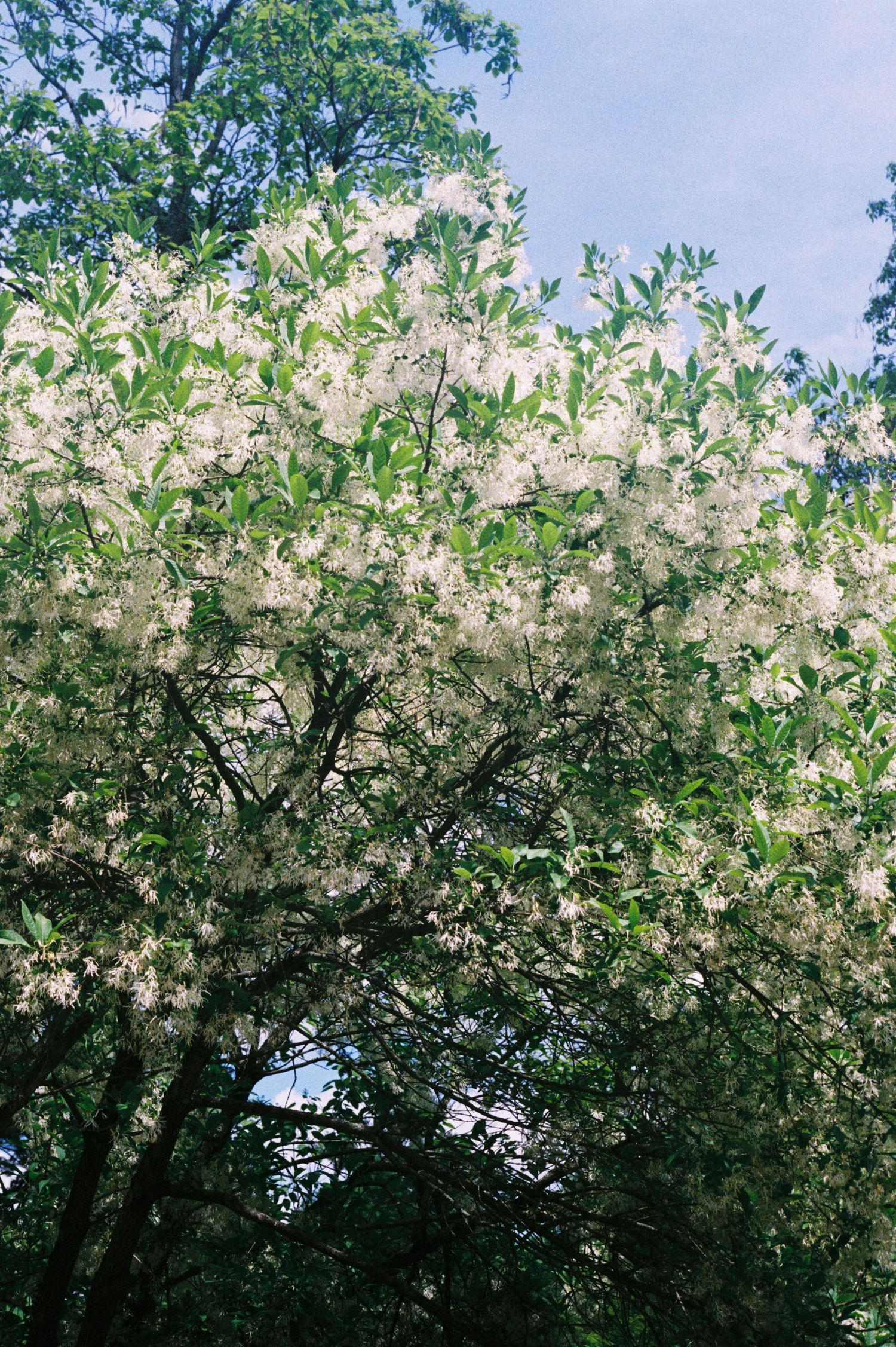 Emily Carson Photography