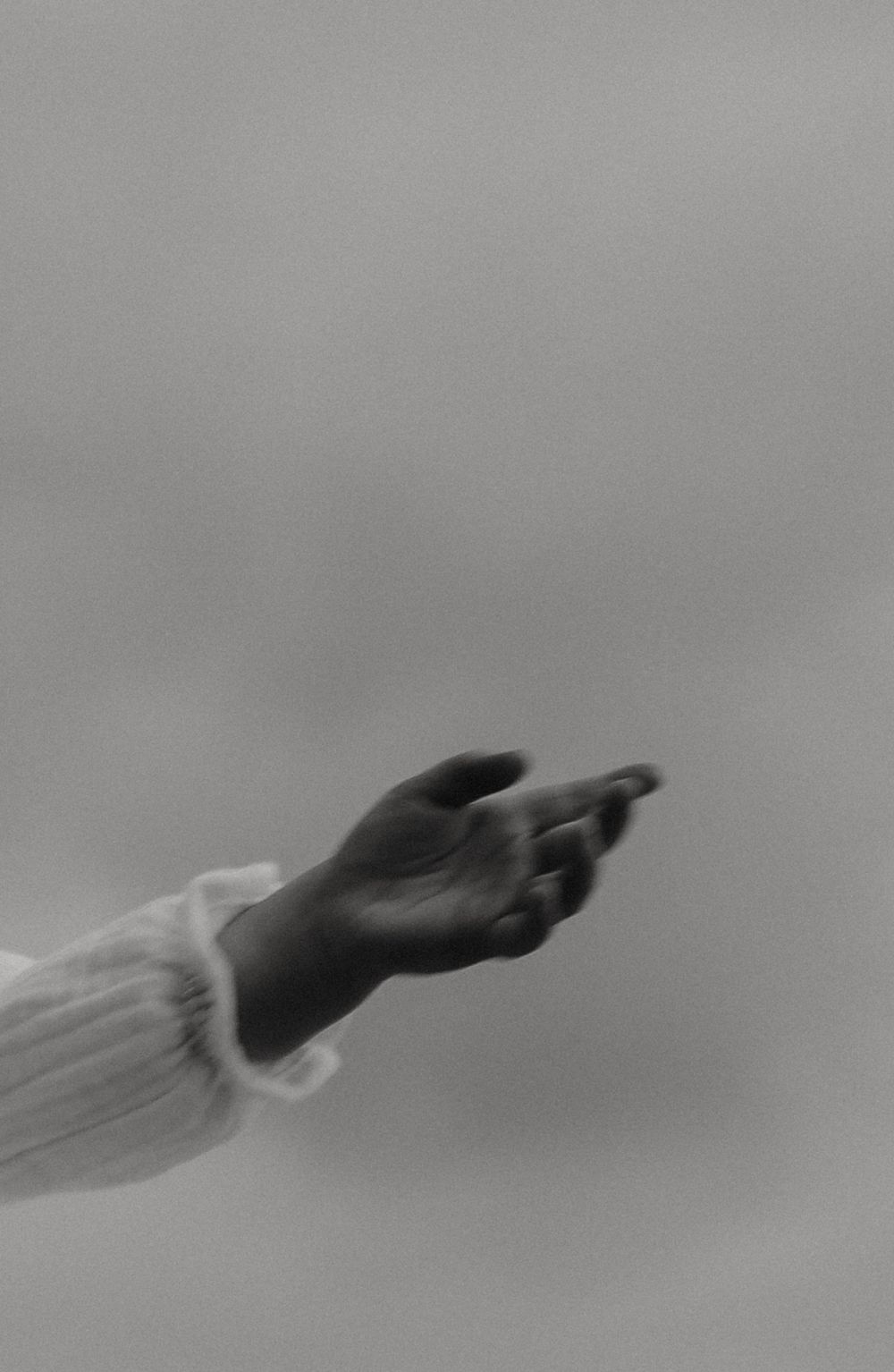 Emily Rose Photography