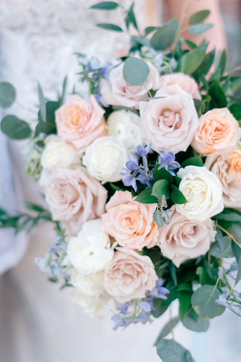 Svetlana Sauer Photography