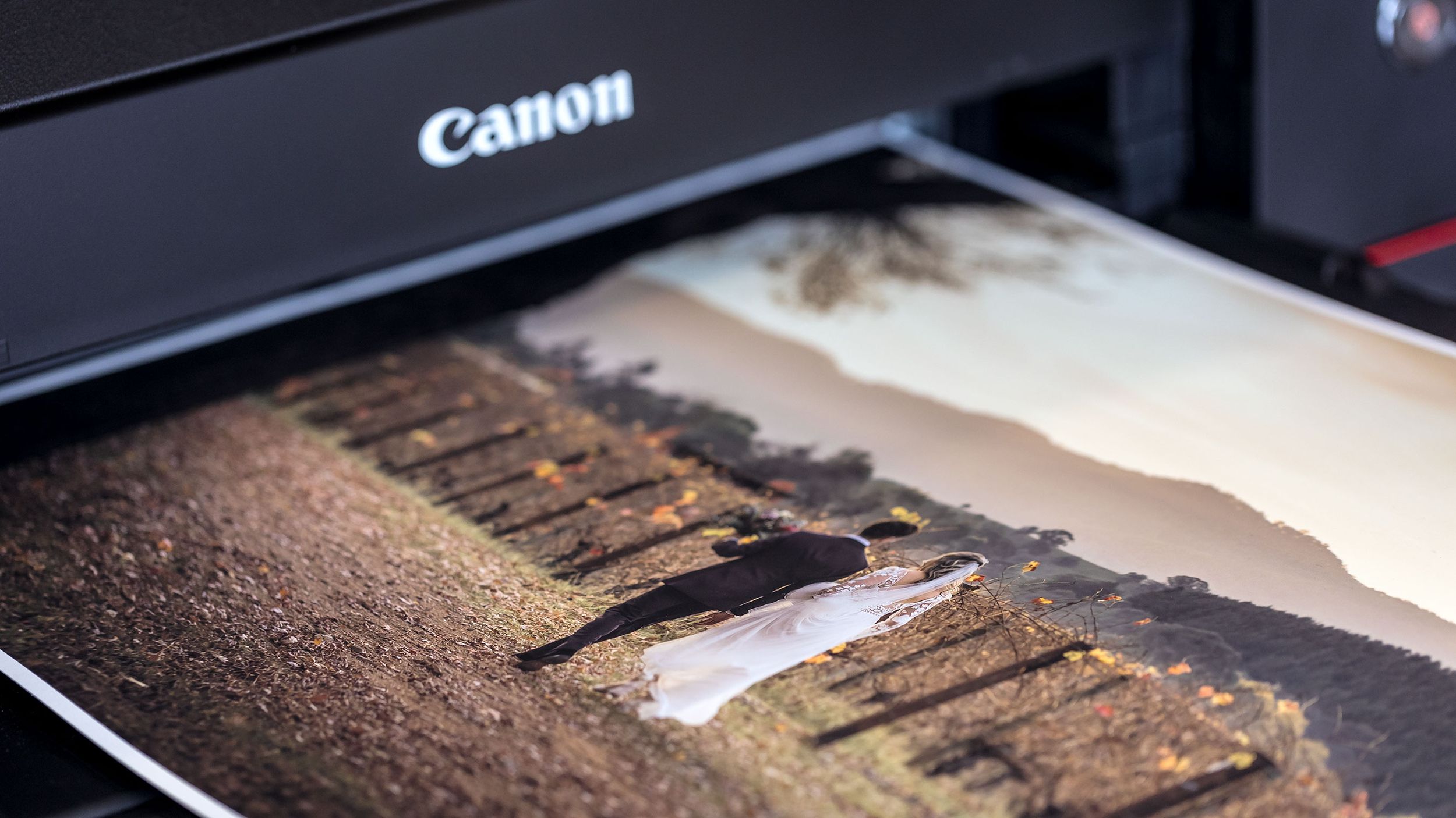 Investment - JRP Studio