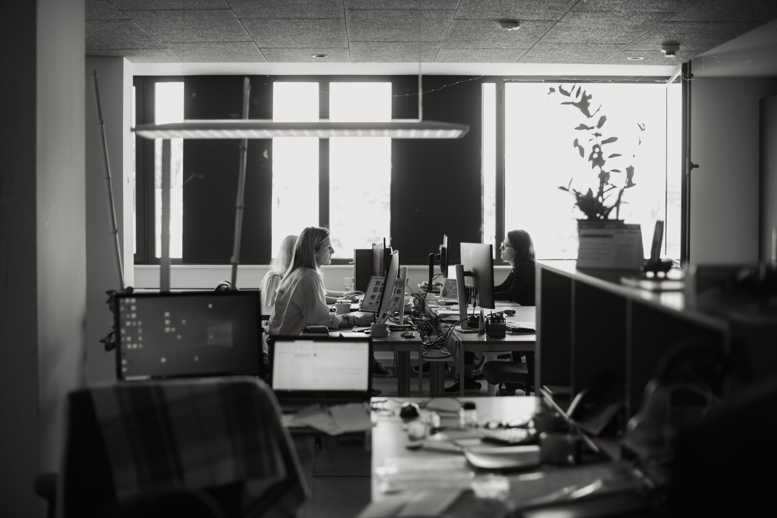 Engagement Copy Copy Copy Copy Copy Copy Copy Copy Copy Copy Copy Copy ...