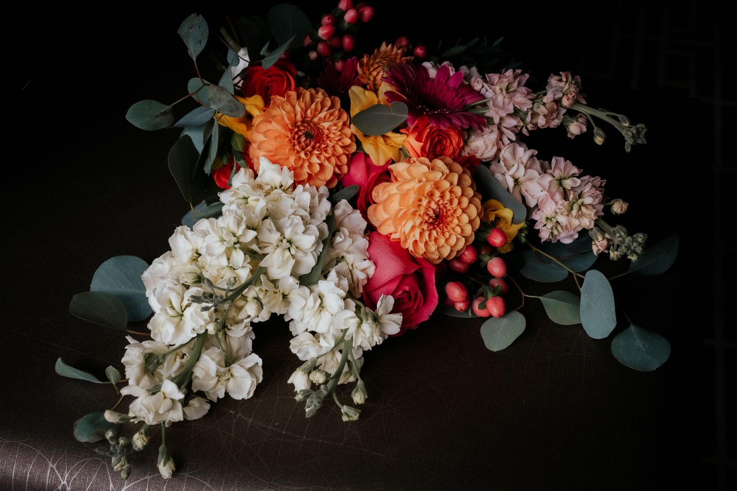 Ally Allison Photography