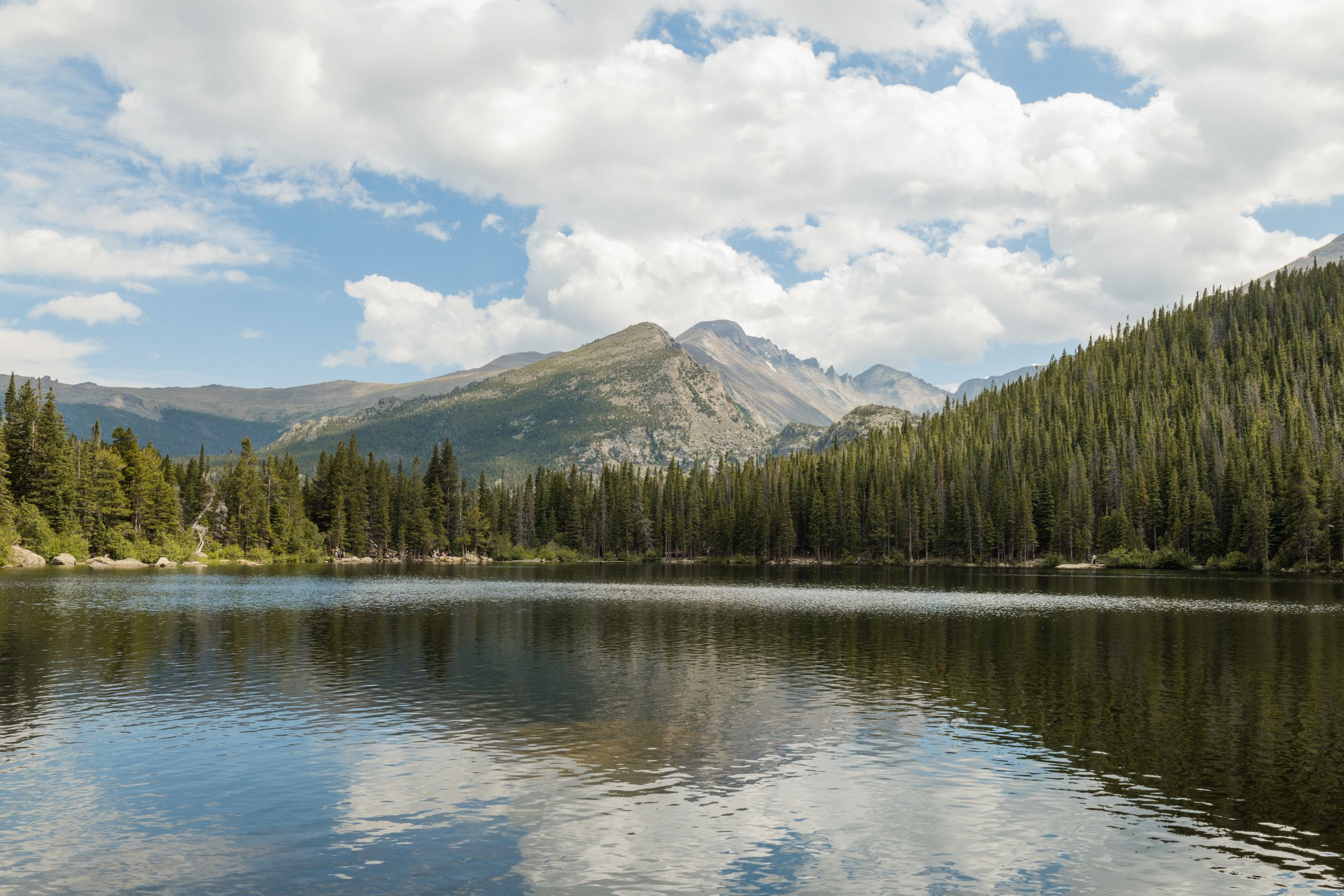 Marissa White Photography | Home