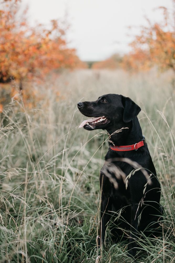 Photography & Videography Services in Kent, UK | Zac Cooke Photography