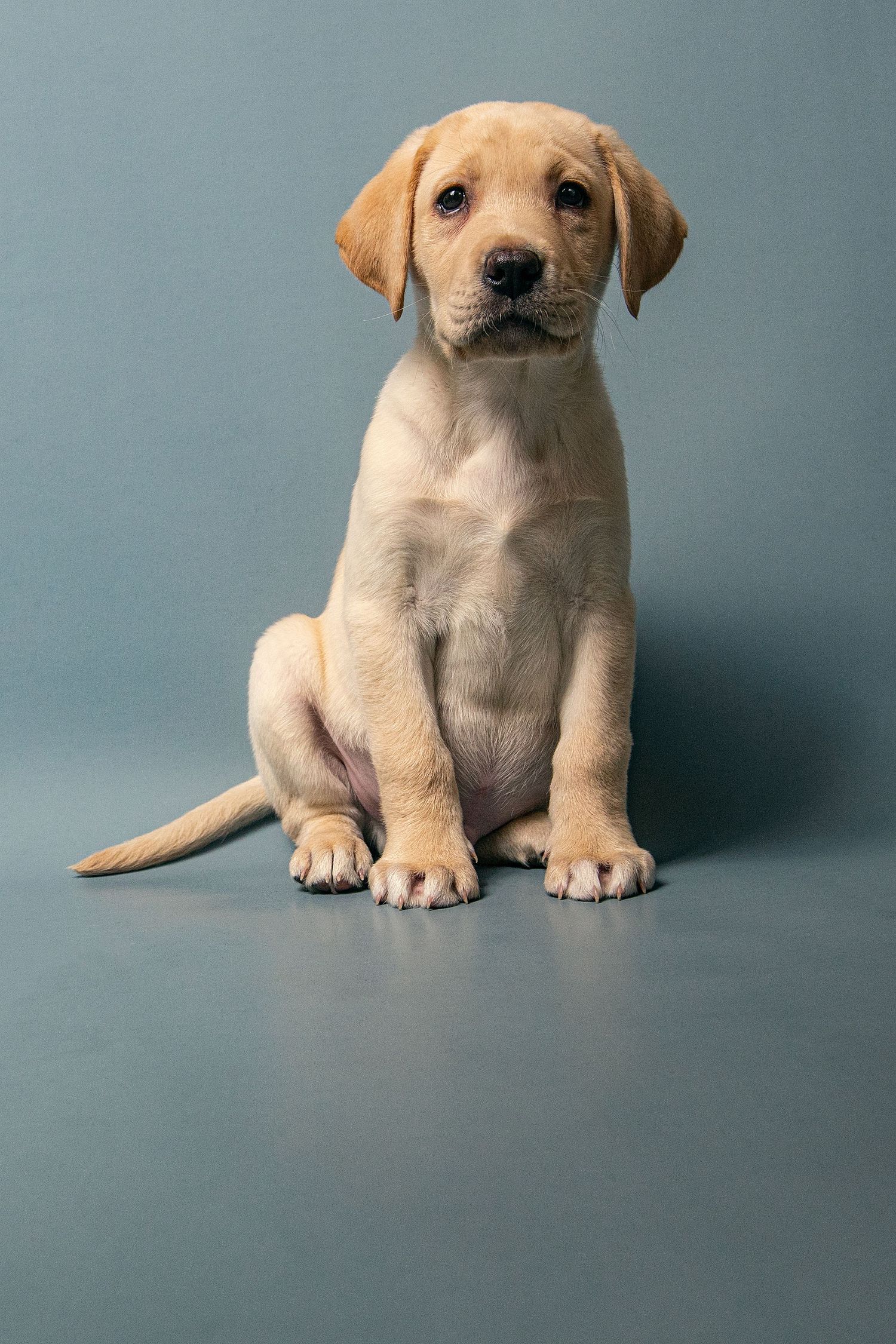 Photography & Videography Services in Kent, UK | Zac Cooke Photography