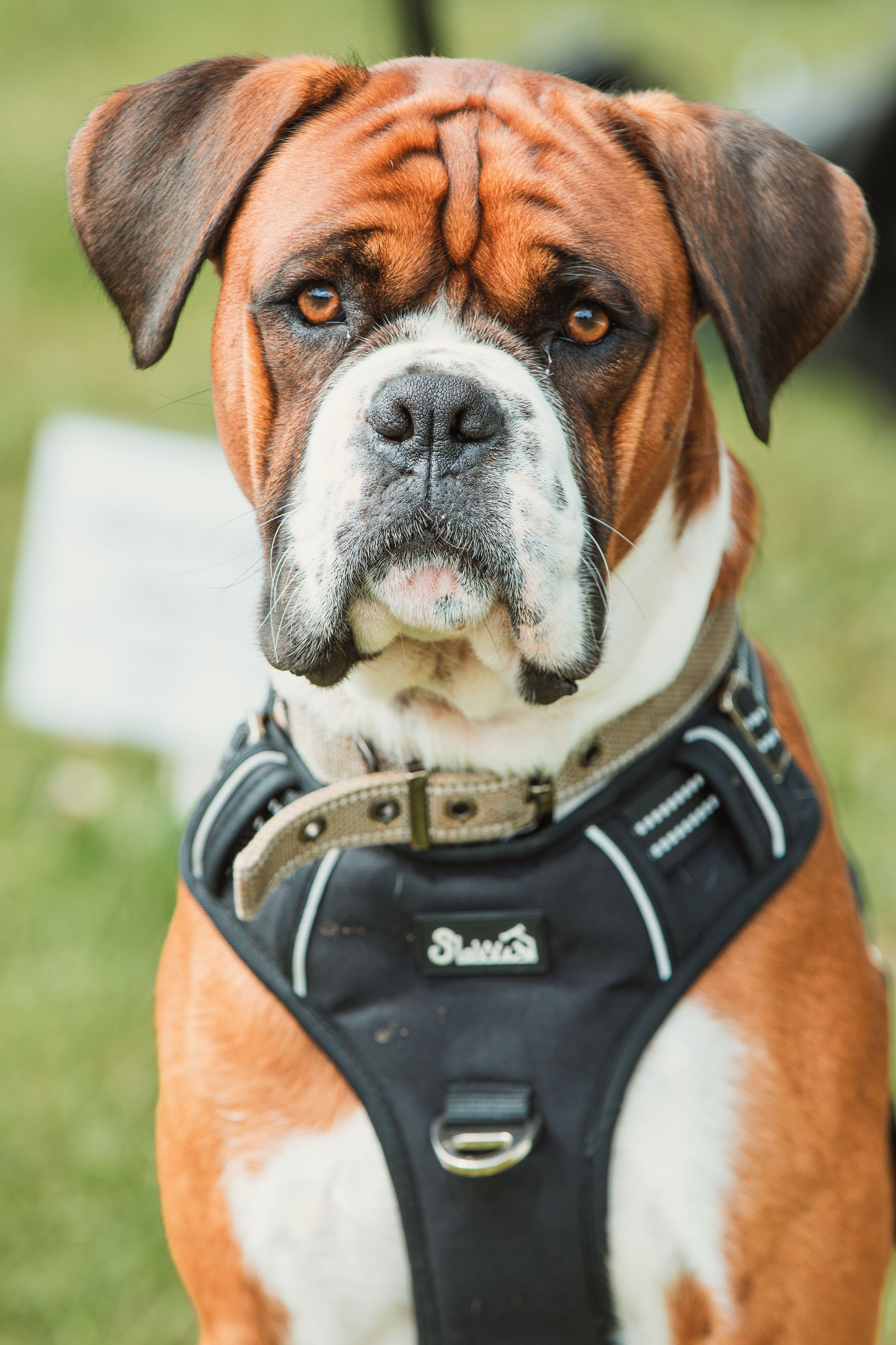 Photography & Videography Services in Kent, UK | Zac Cooke Photography