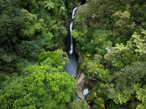 Shop Portfolio - Kiwidroneography