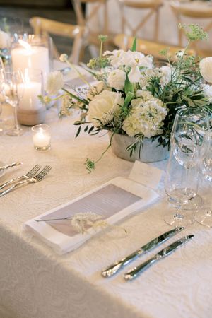 Shannon Elizabeth Photography