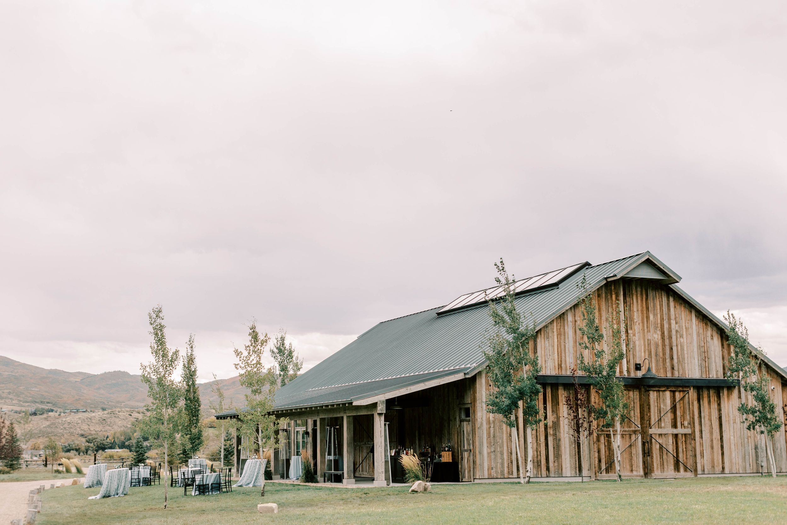 Shannon Elizabeth Photography