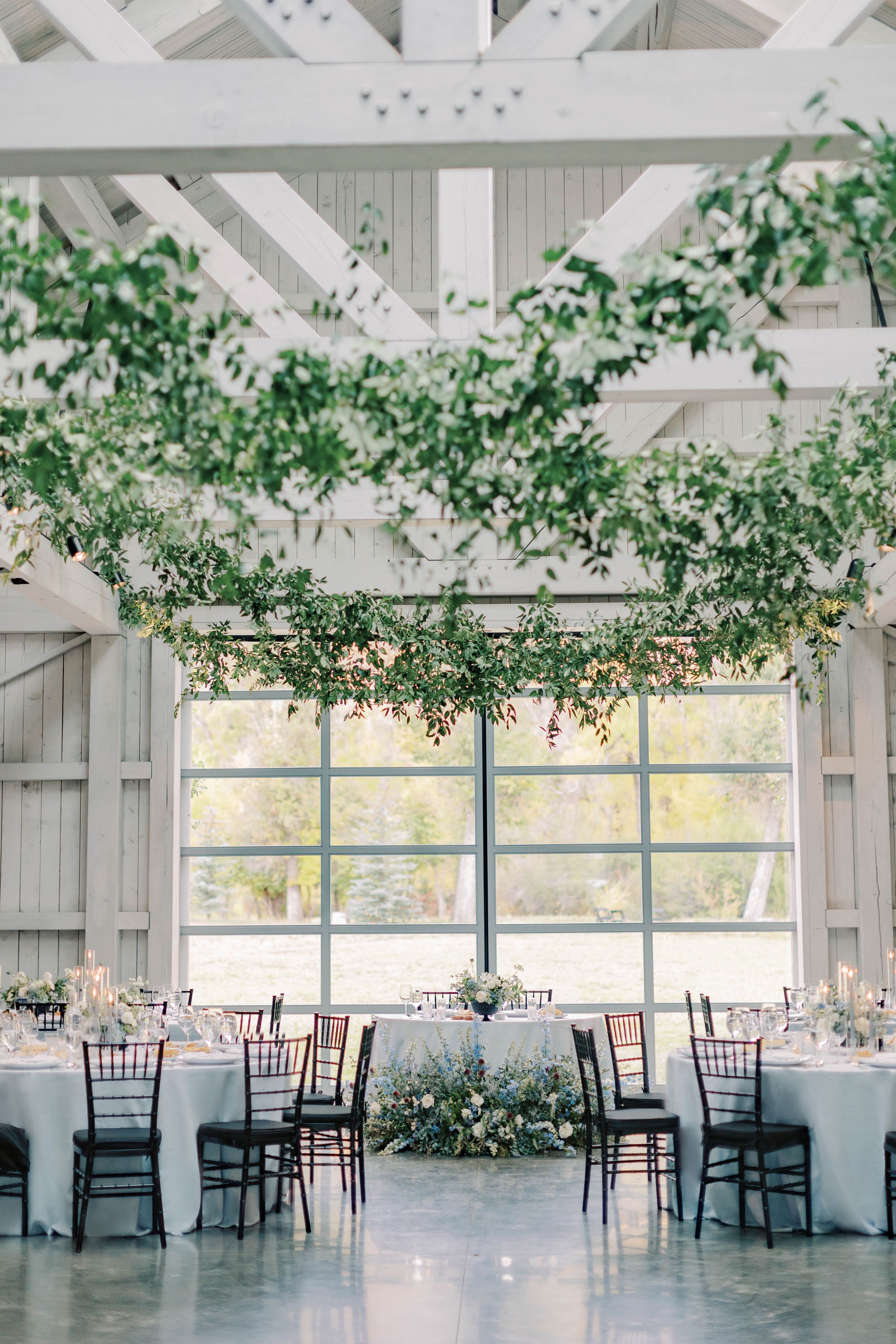 Shannon Elizabeth Photography