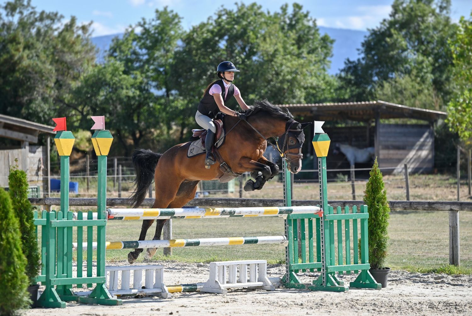 CSO - Alice.T Photographie