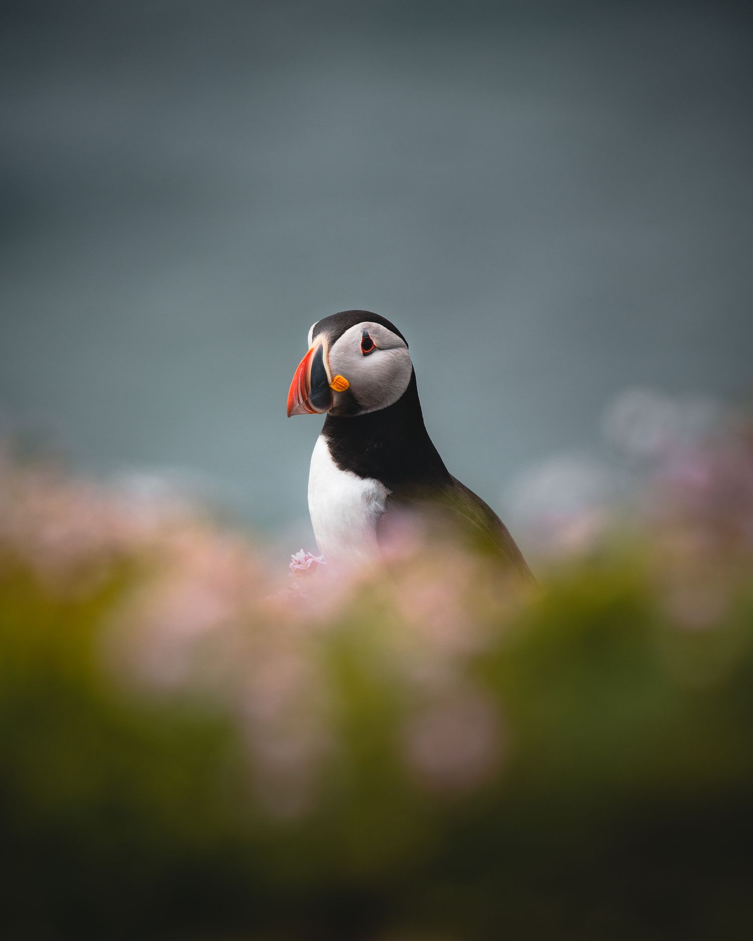 10 hidden gems in ireland - furstonetravels