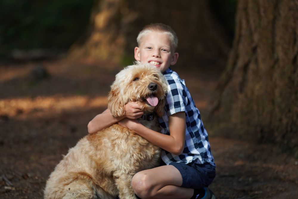 Shea Sullivan Photography