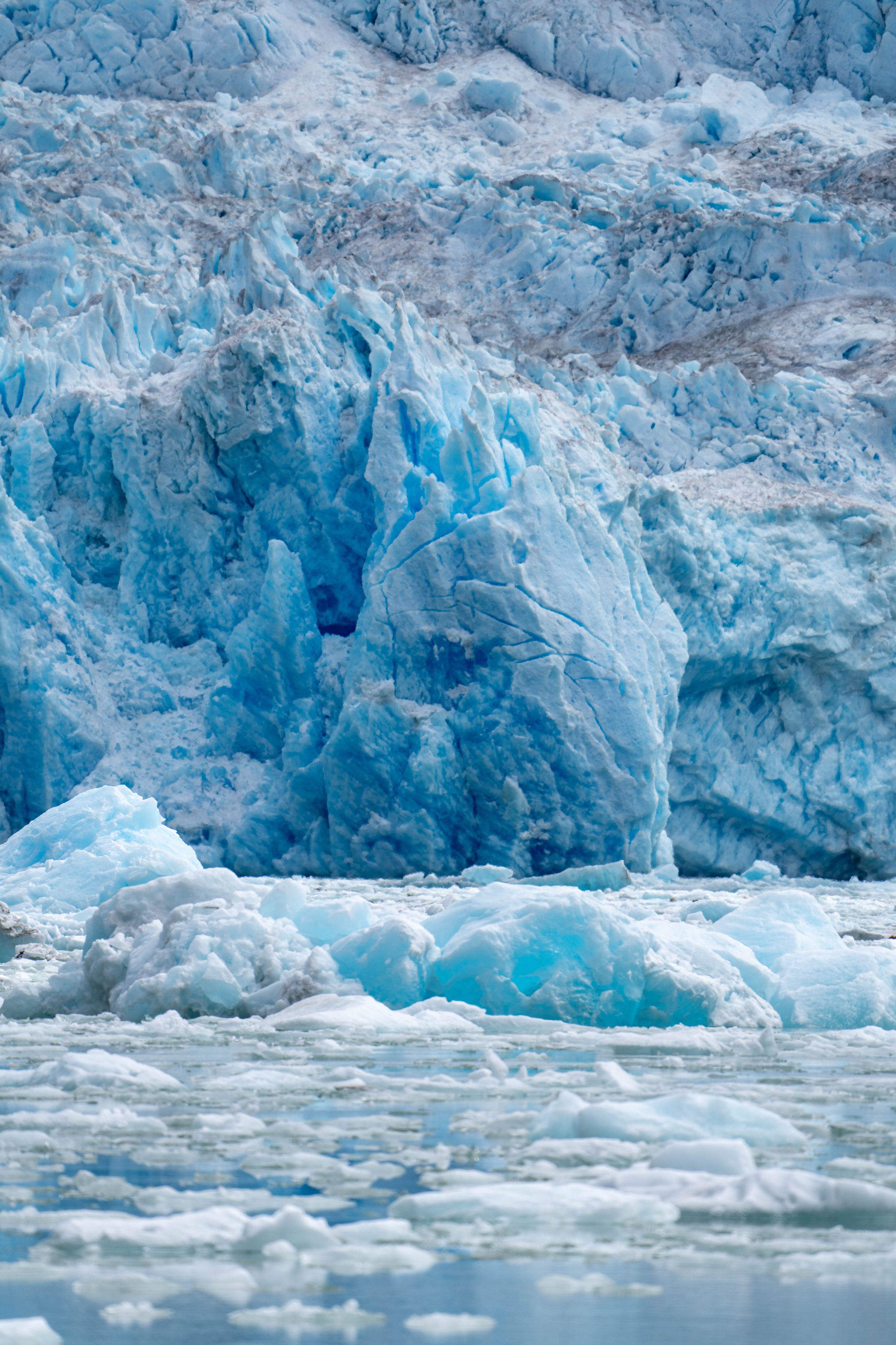 Shea Sullivan Photography