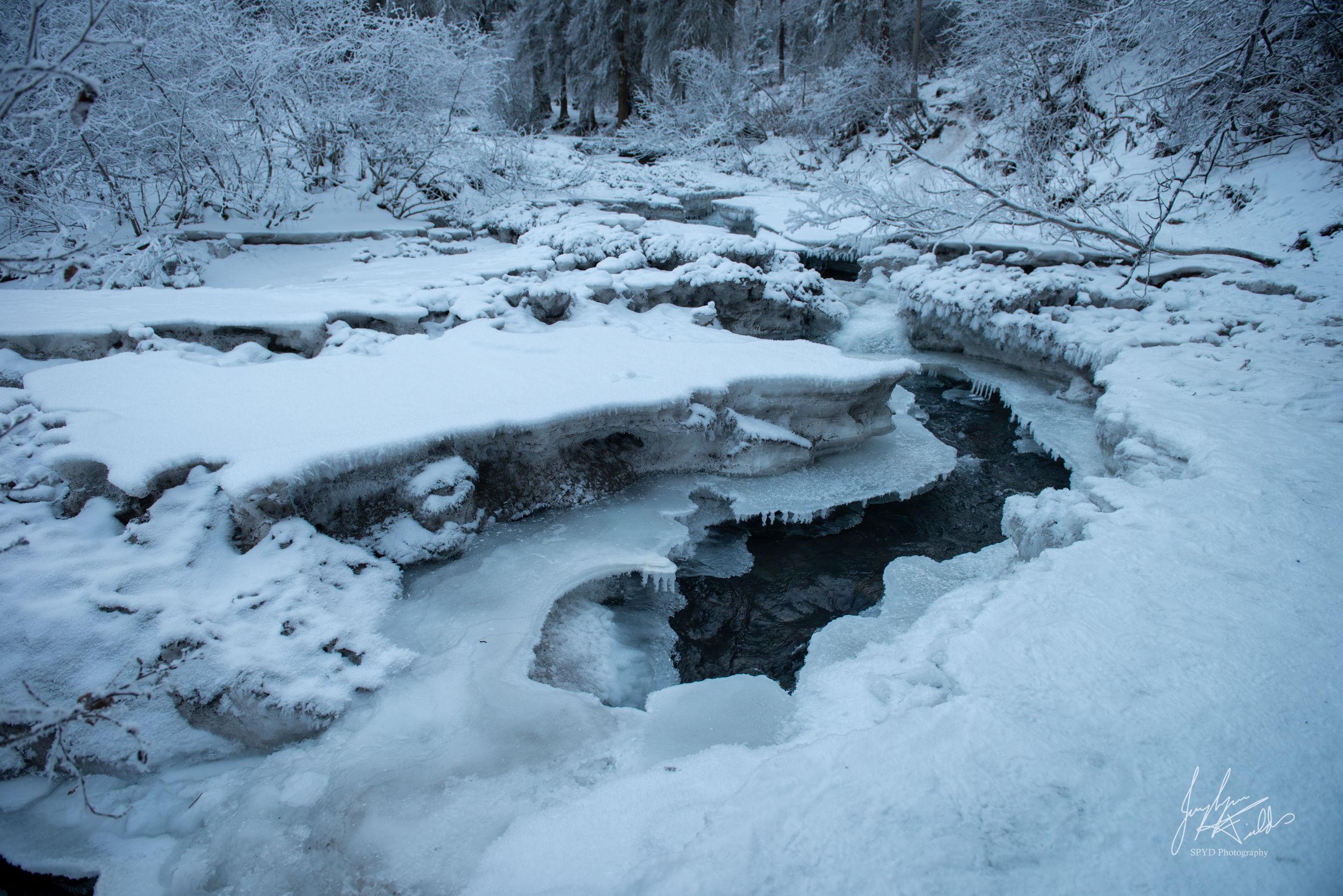 Alaska 2025 - SPYD Photography