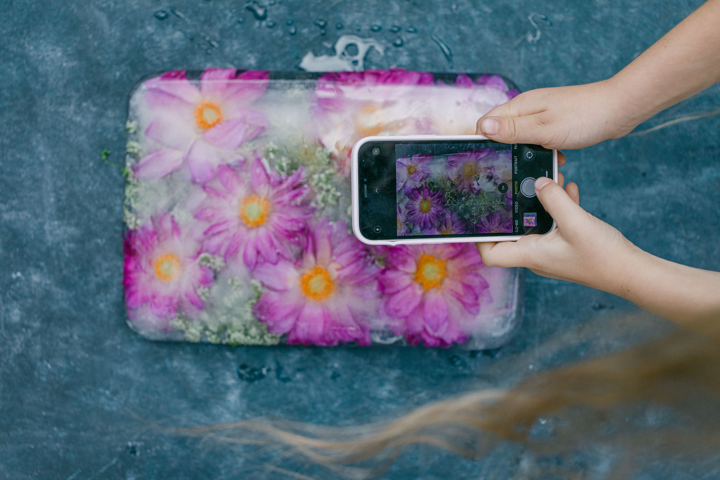 Nikki Olivier Photography