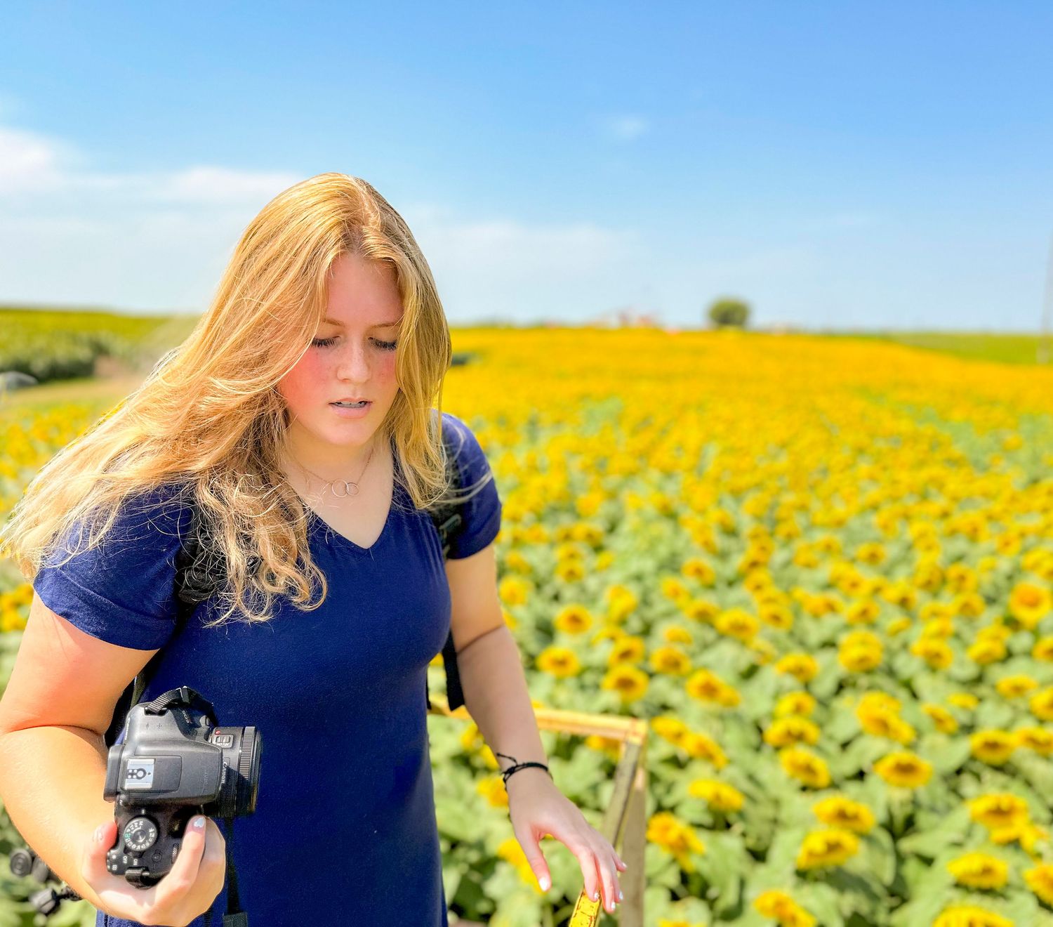 About - Alison Paige Photography