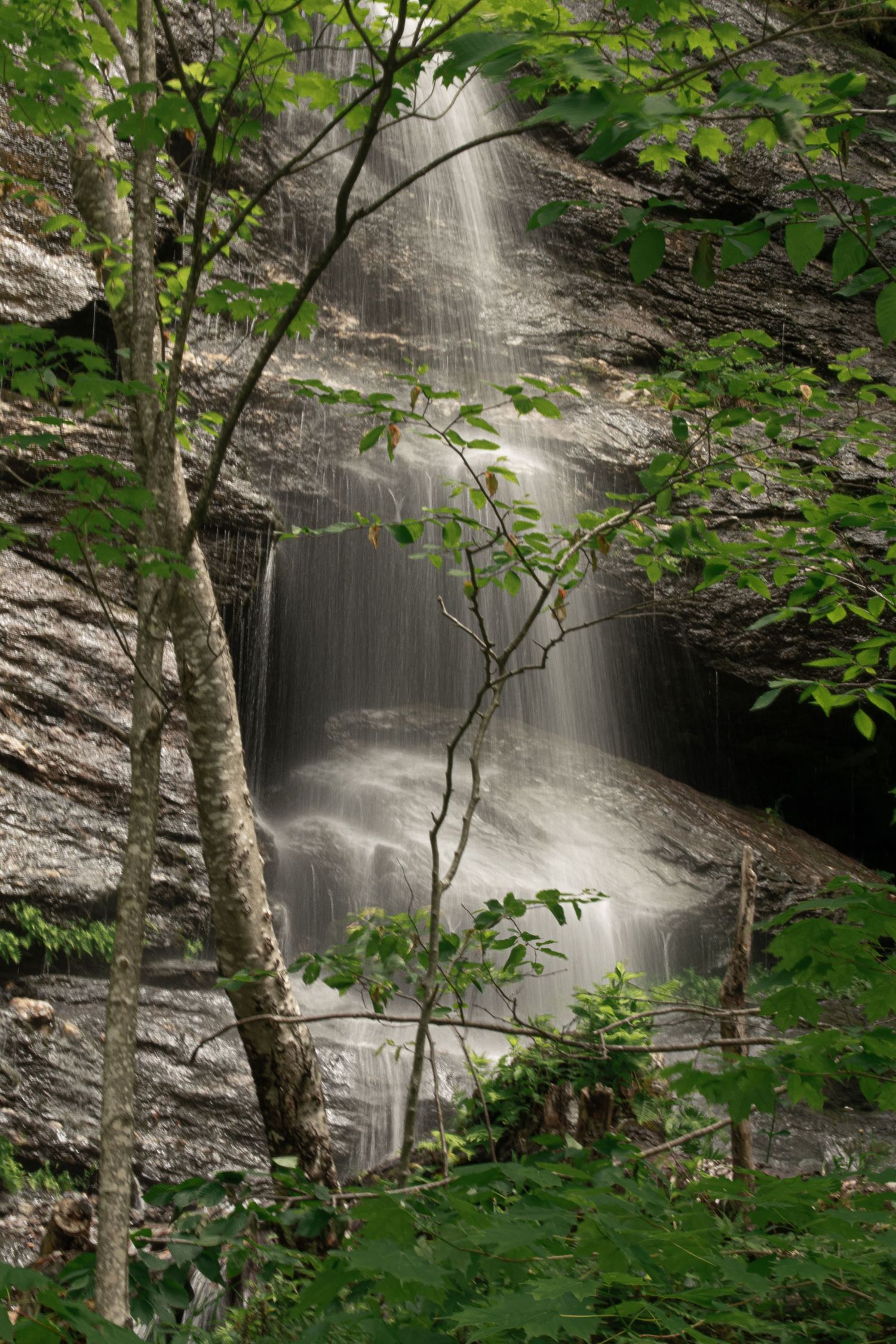 Learn about me - Lisa Graf Photography