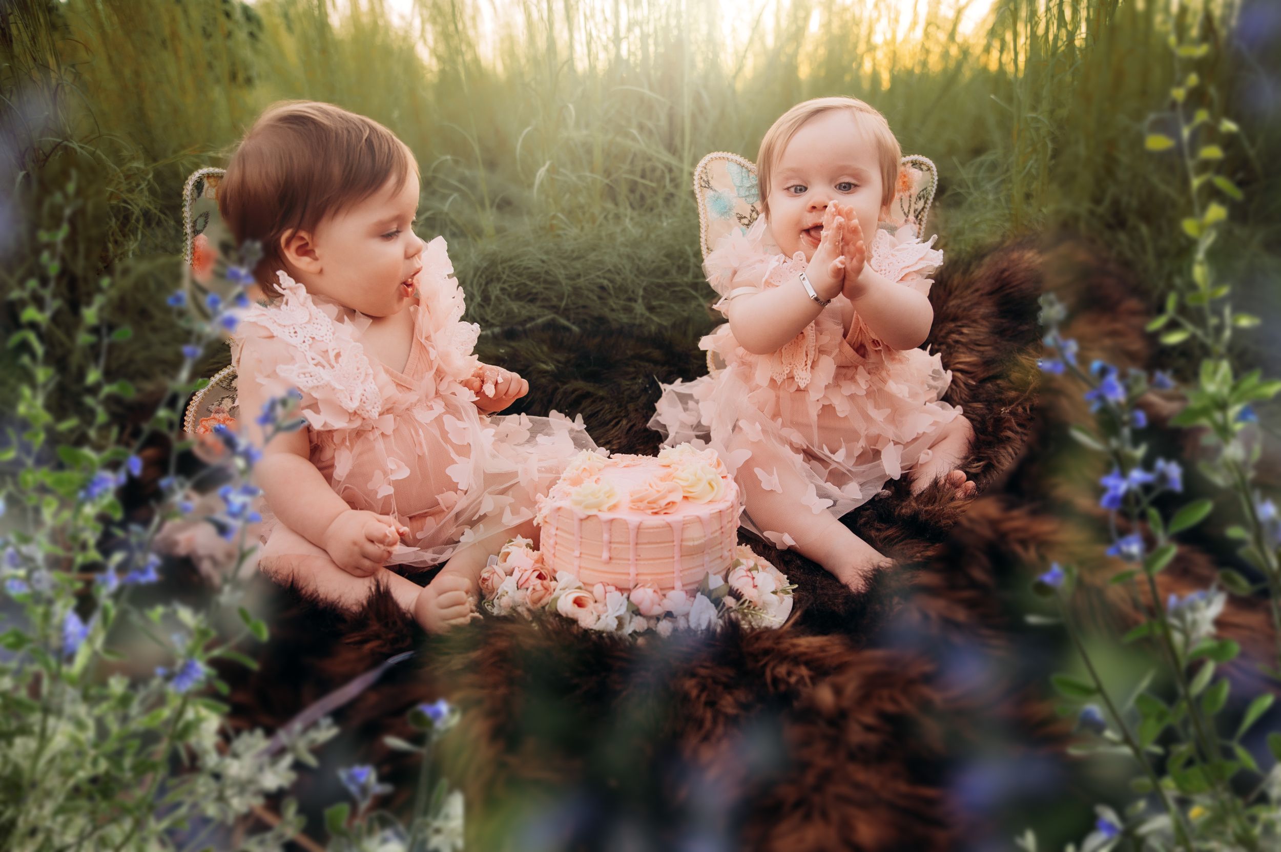 Mandy Ray Photography