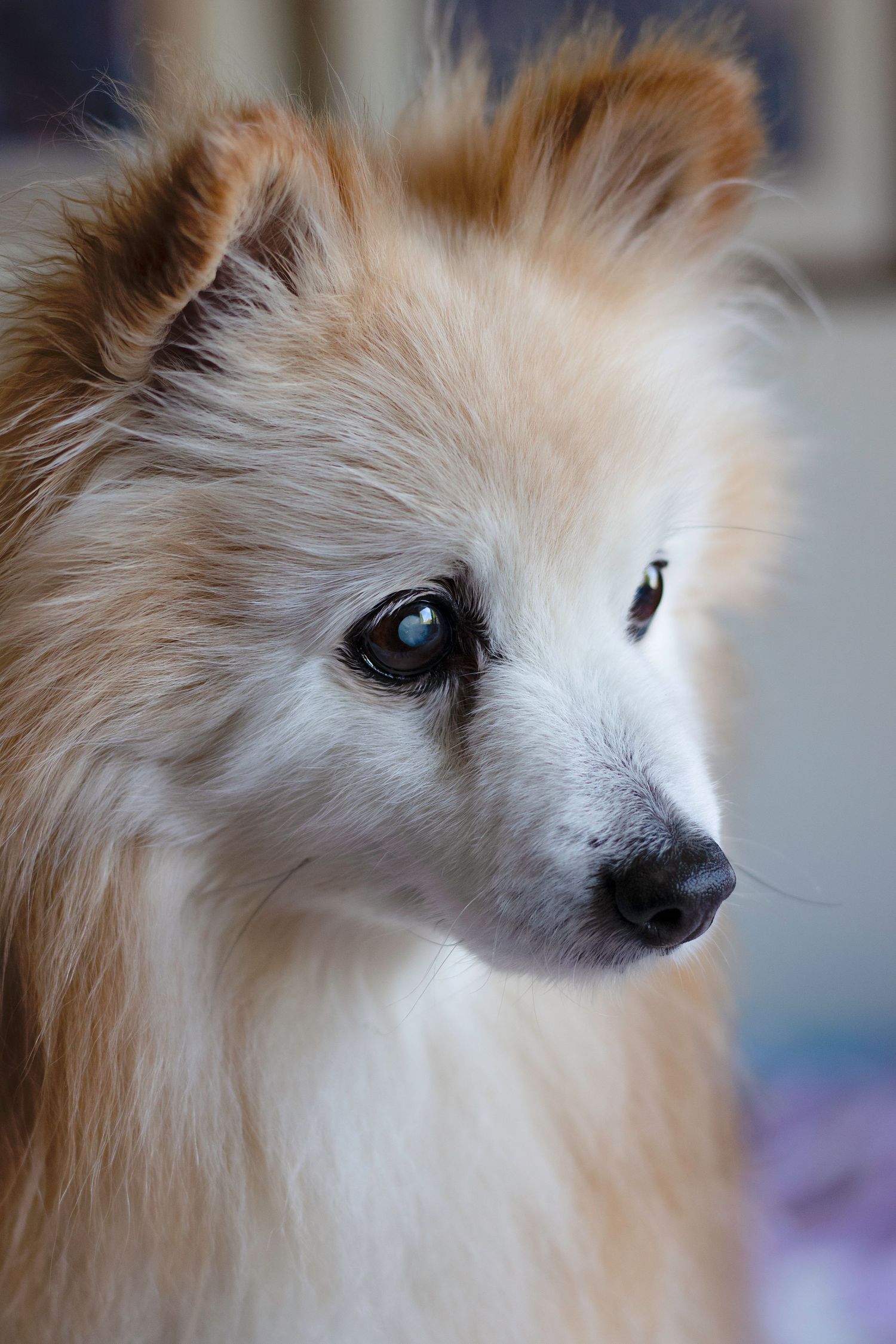 Bree Ruby Photography