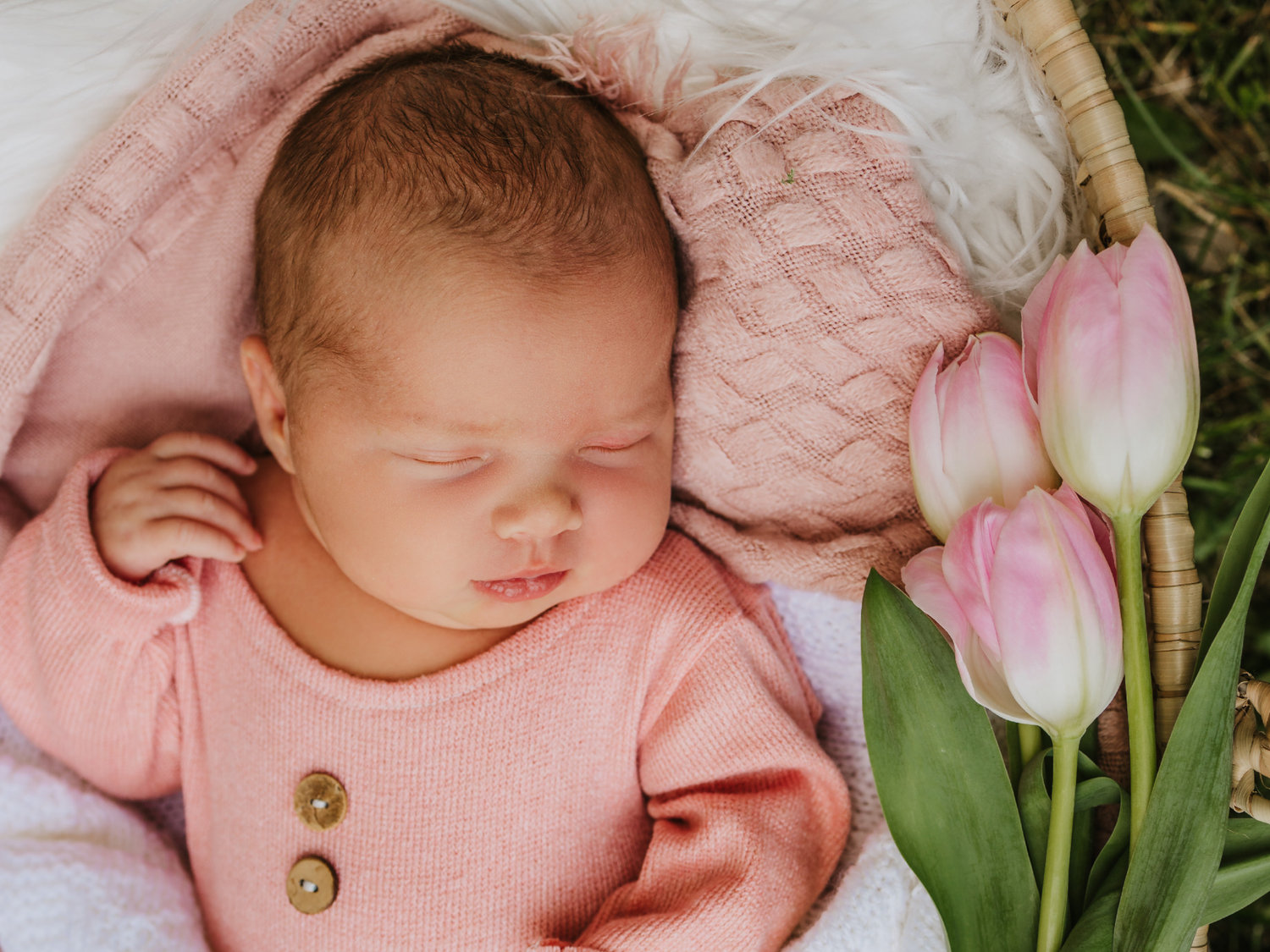 How to Prepare for Your Photo Shoot with Michigan’s Unpredictable ...