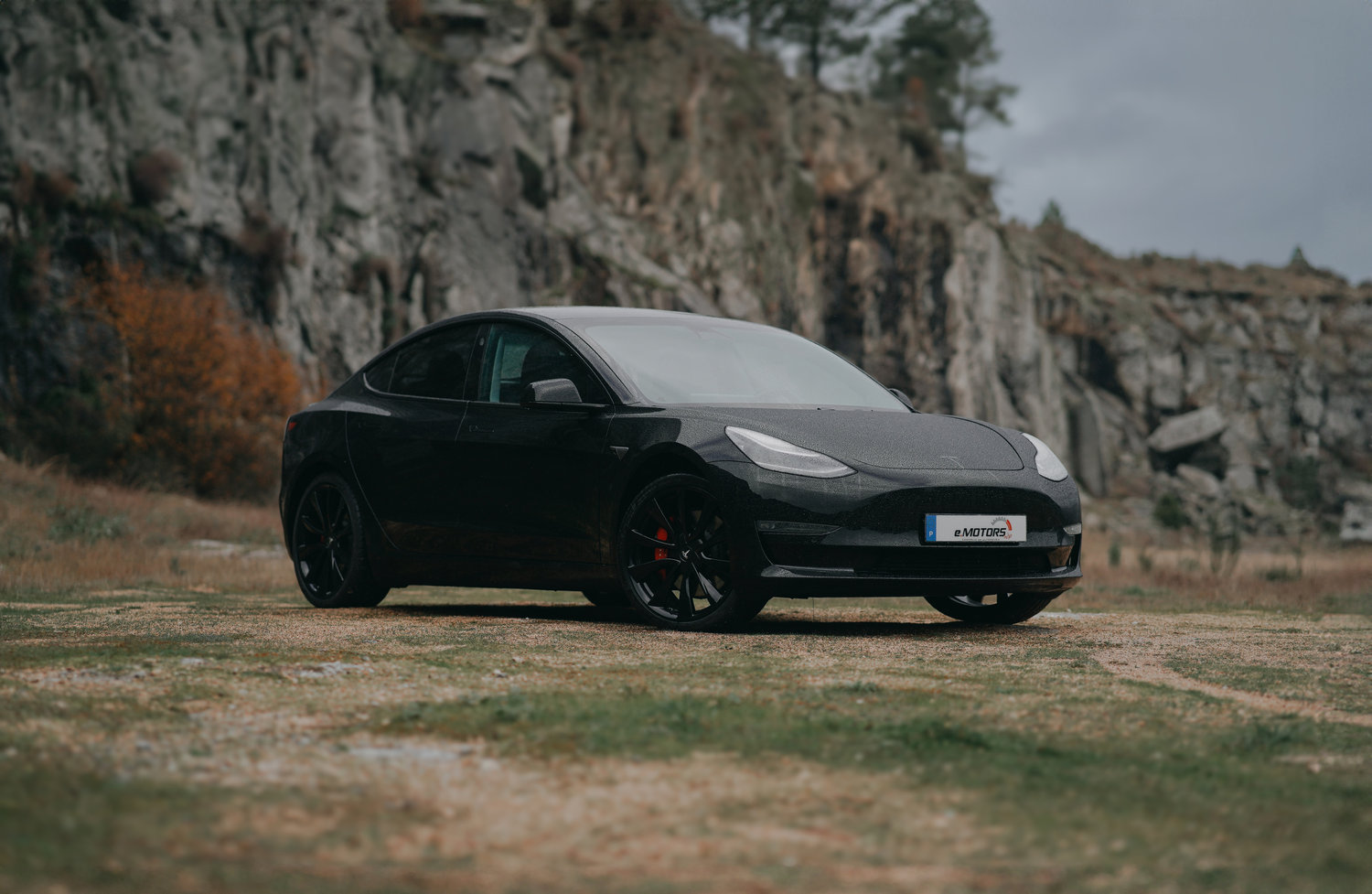 TESLA MODEL 3 PERFORMANCE - e.MOTORS wp - Comércio de Automóveis