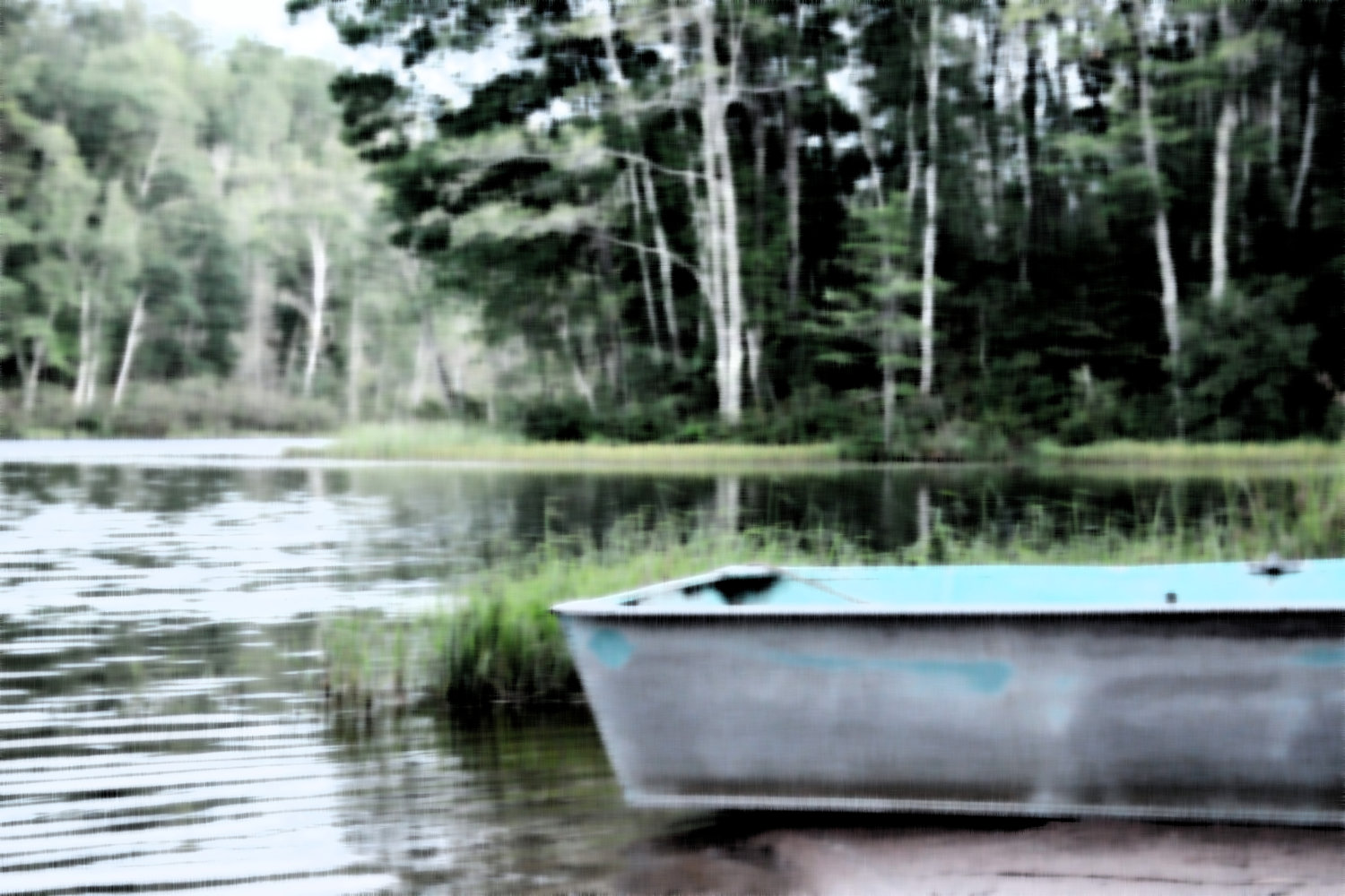 Client Area - On The Loose Photo