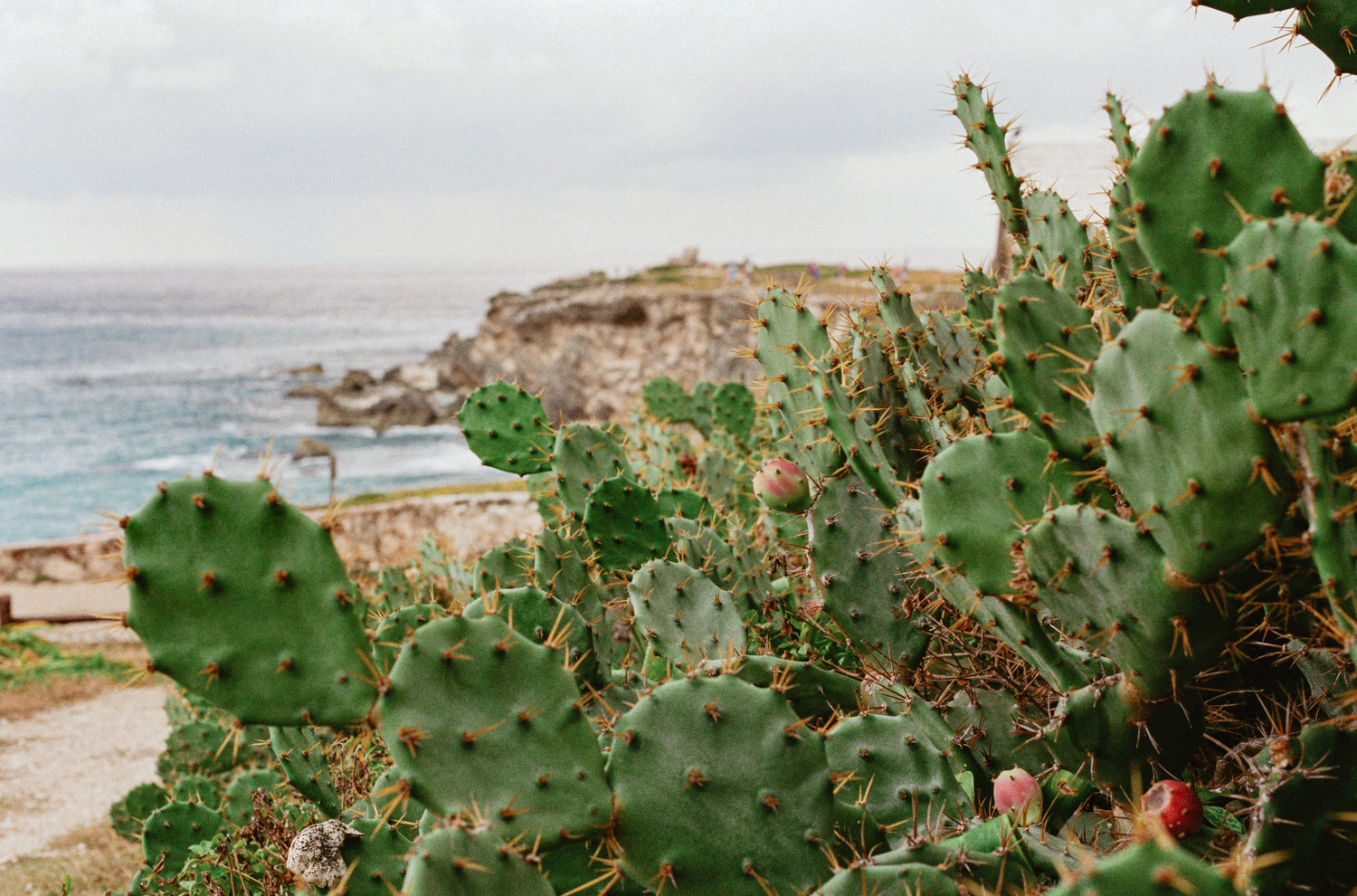 Mexico - Christina Brock | YESTERDAY Studio