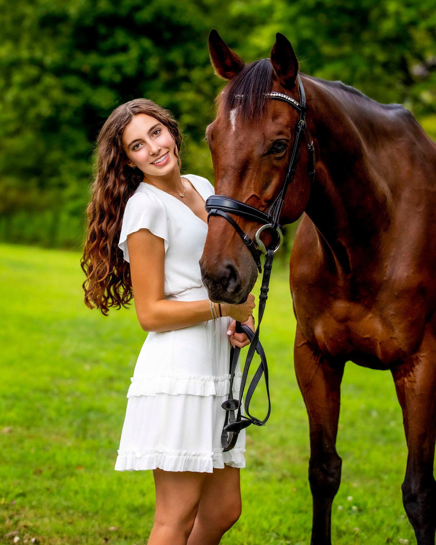 Equine - All Things Beautiful Photography