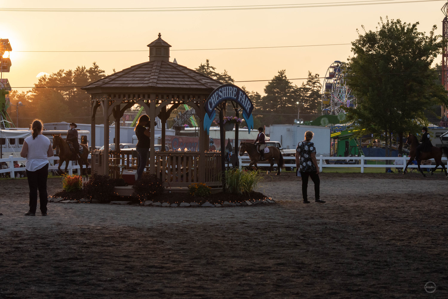 Cheshire Fair Horse Show - Emerald Sage Photography