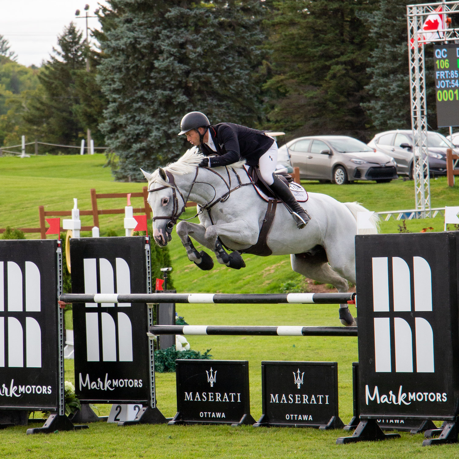 Equestrian Gallery - Hollydays Inc.