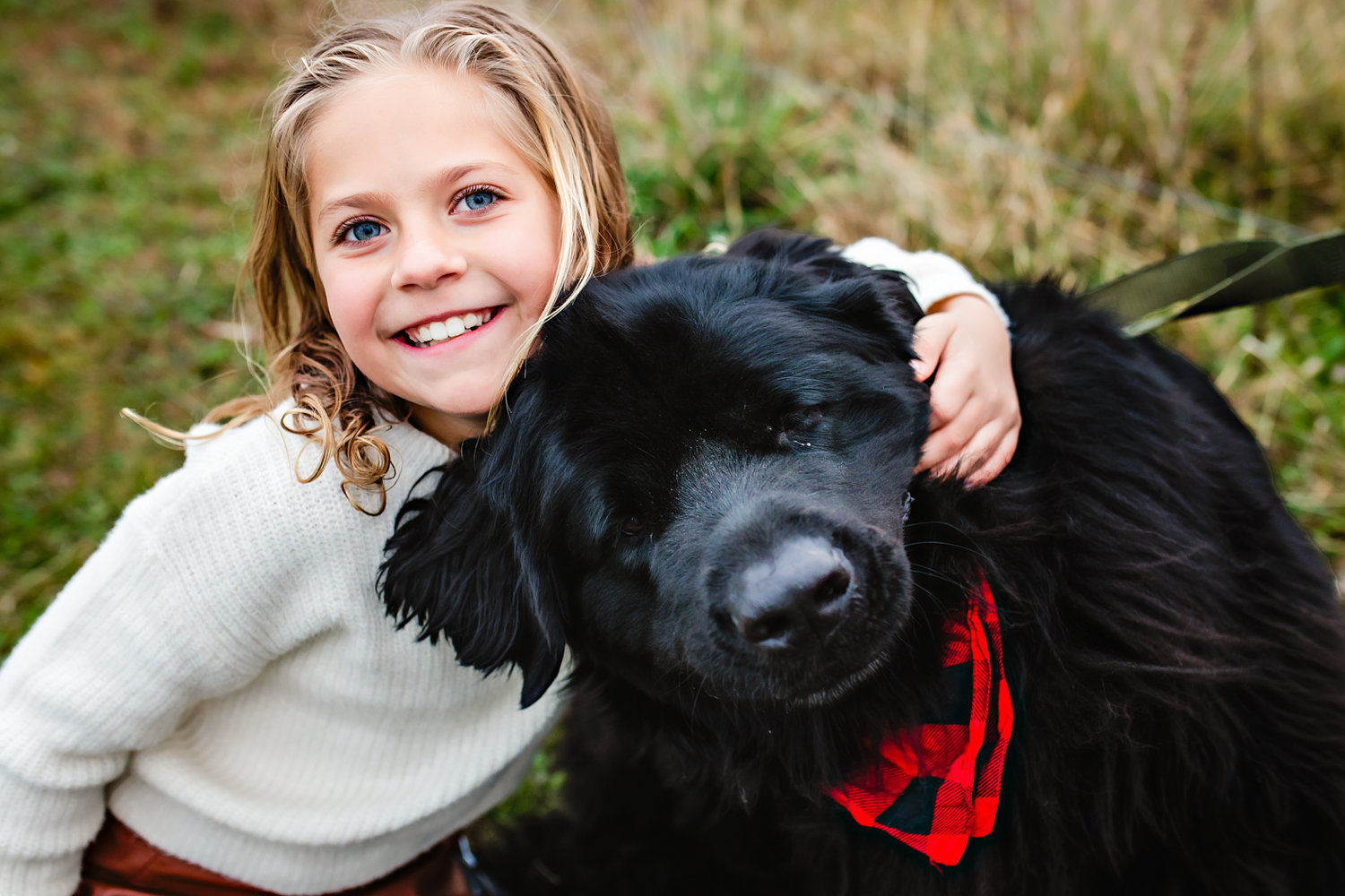 Should You Bring Your Dog to Your Family Session? - The Stress-free ...