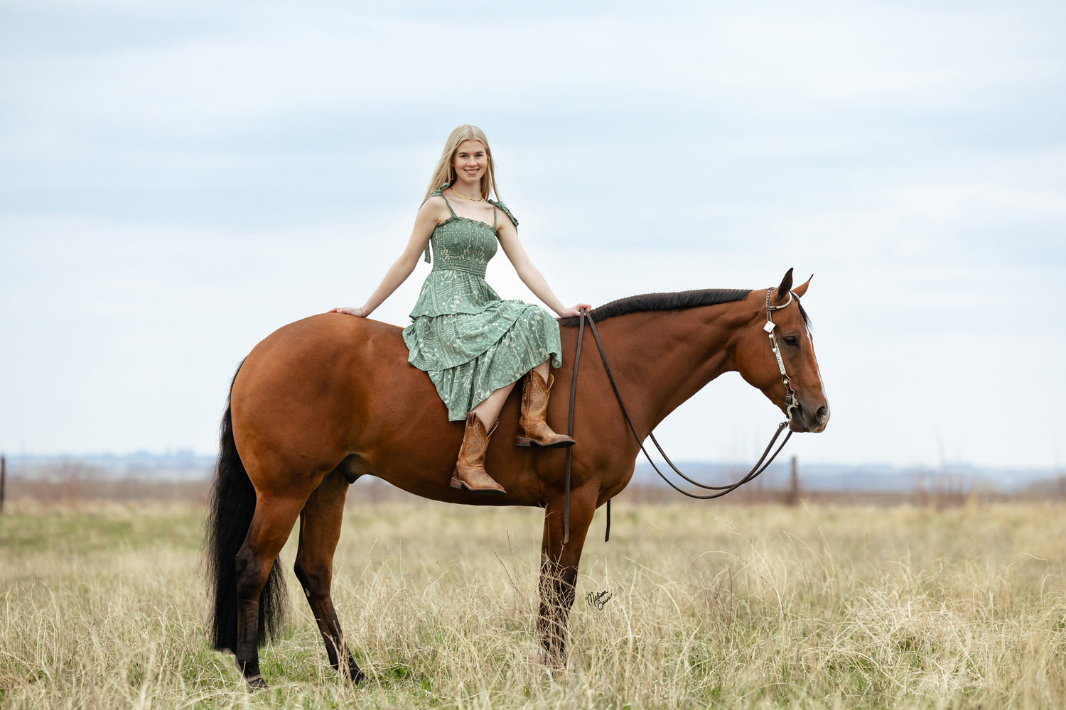 Eva & Buzz 2025 - Melissa Baus Design - Fine Art Equine, Wedding ...