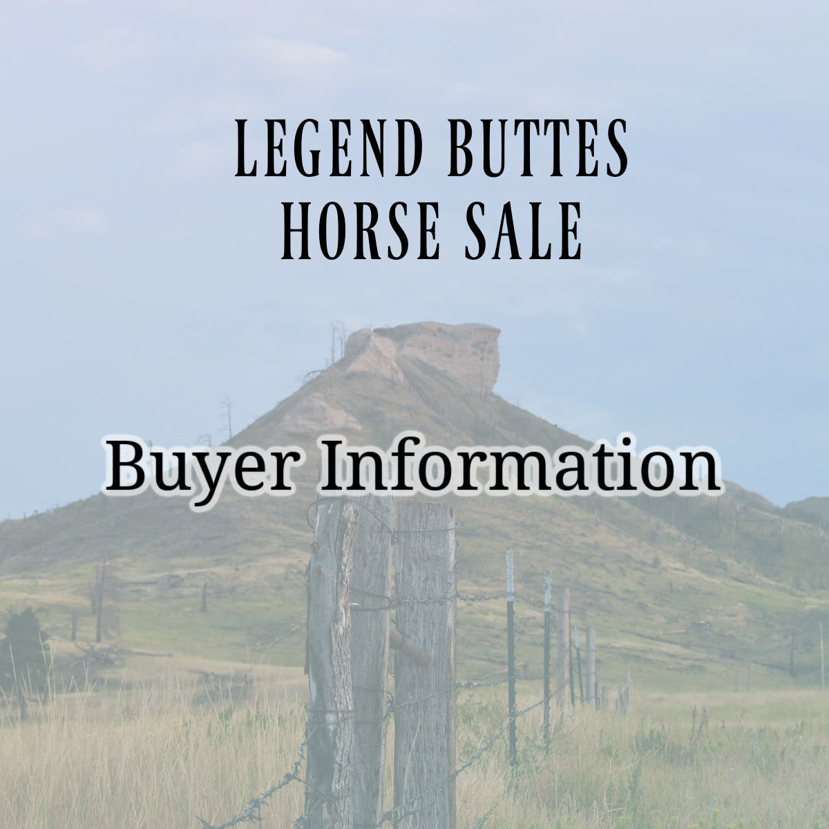 Buyer Information - Legend Buttes Unlimited