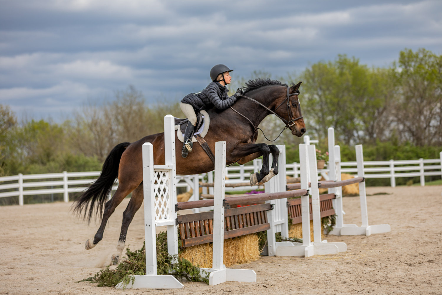 Vermillion Valley KCPHA / KHJA Show Photography Copy - HLJ Images