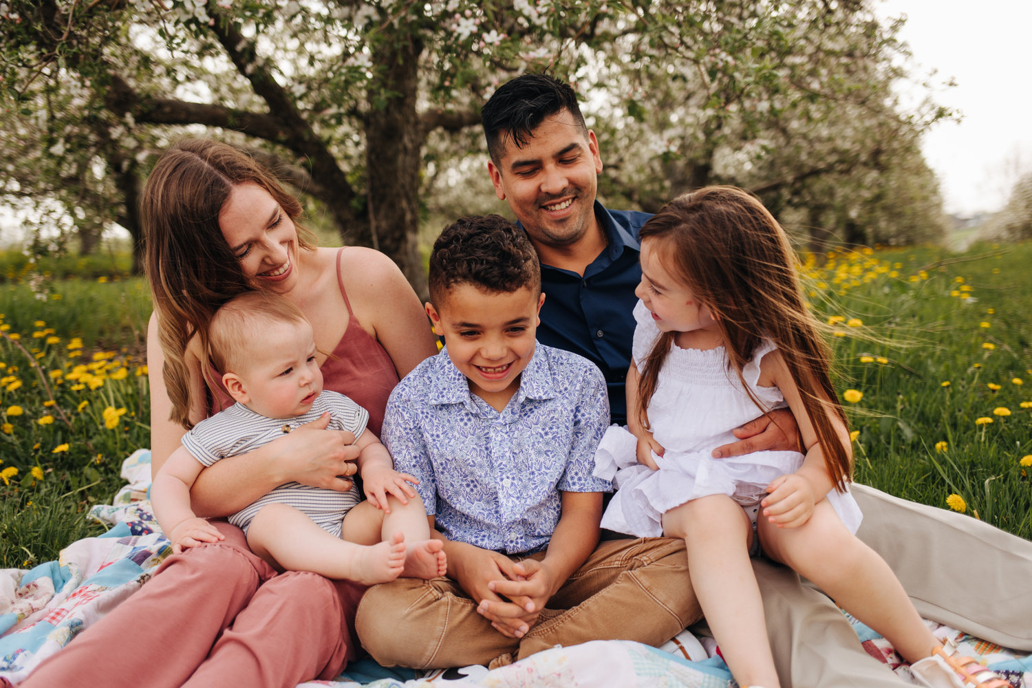 Crane Orchards in Bloom - T Crane Photography, LLC