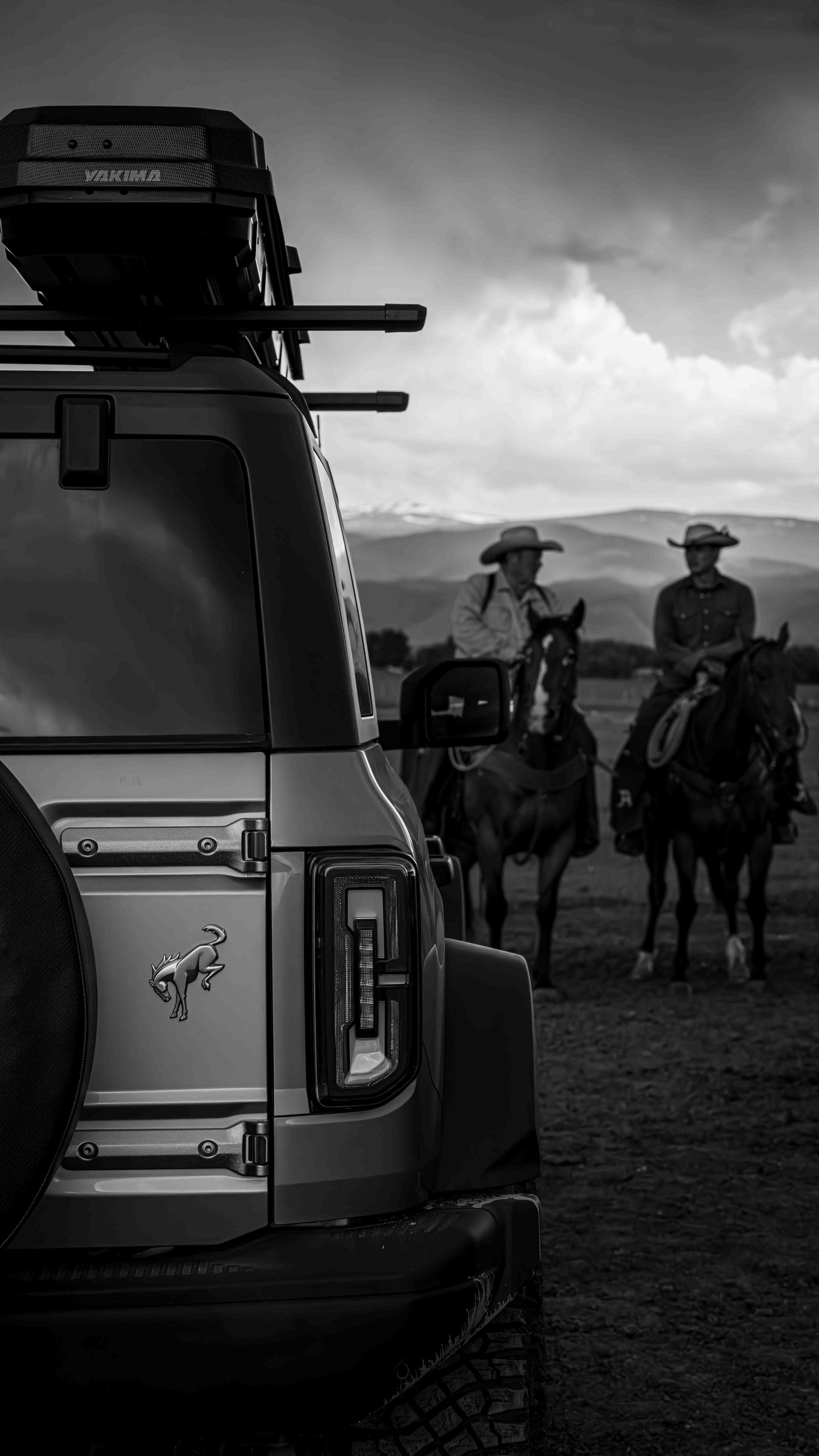 Contact - Lael P Johnson Photography