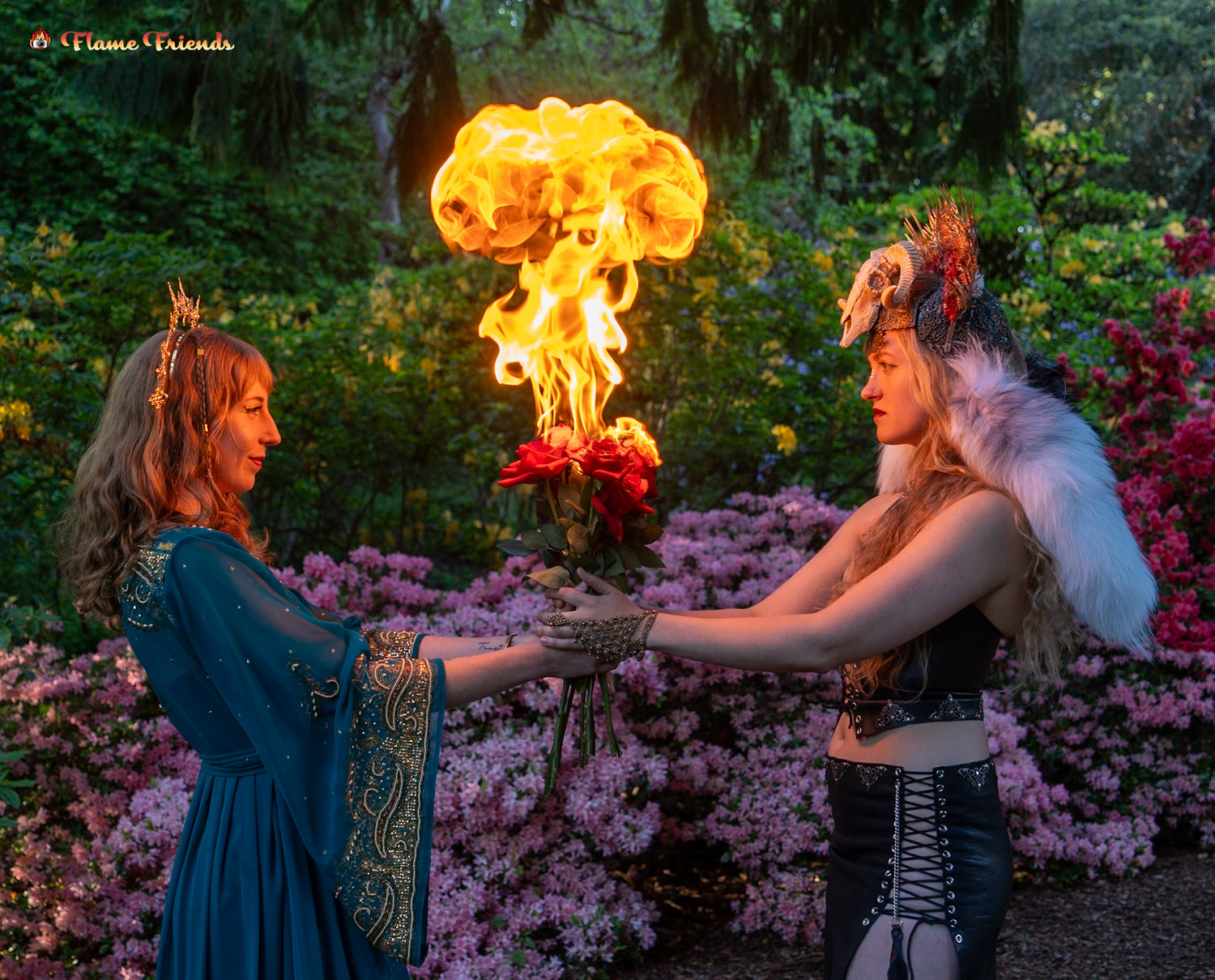 wildrose - Flame Friends Arts & Photo