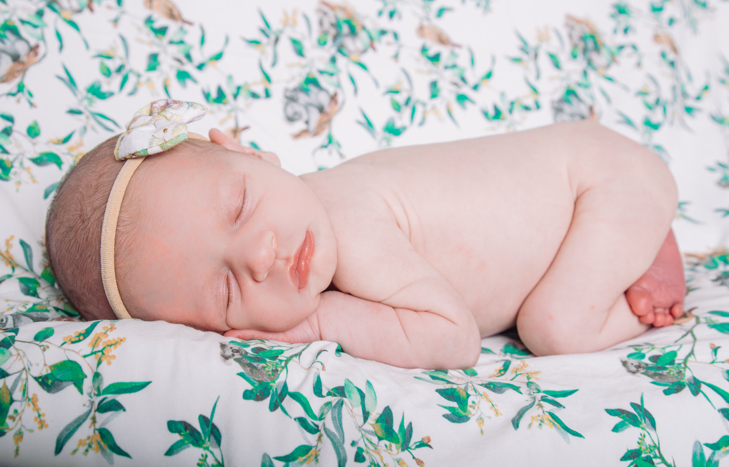 Babies - Ocean View Photography