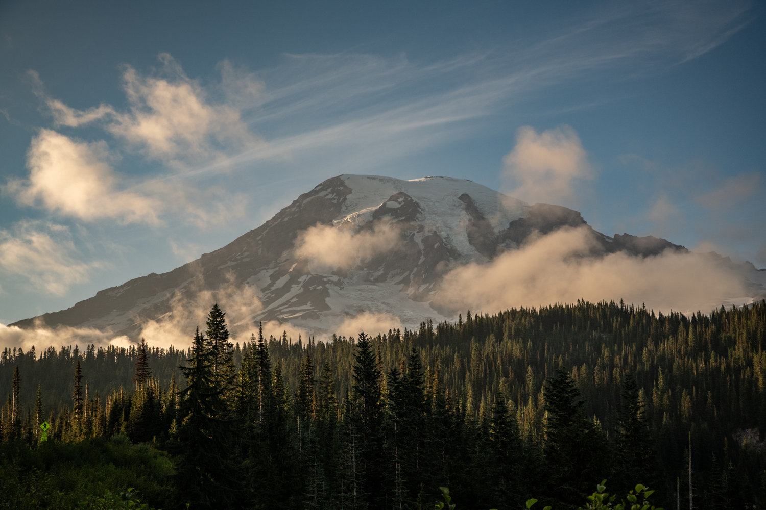 Mount Rainier National Park - Kristen's Captures - Rhode Island Wedding ...