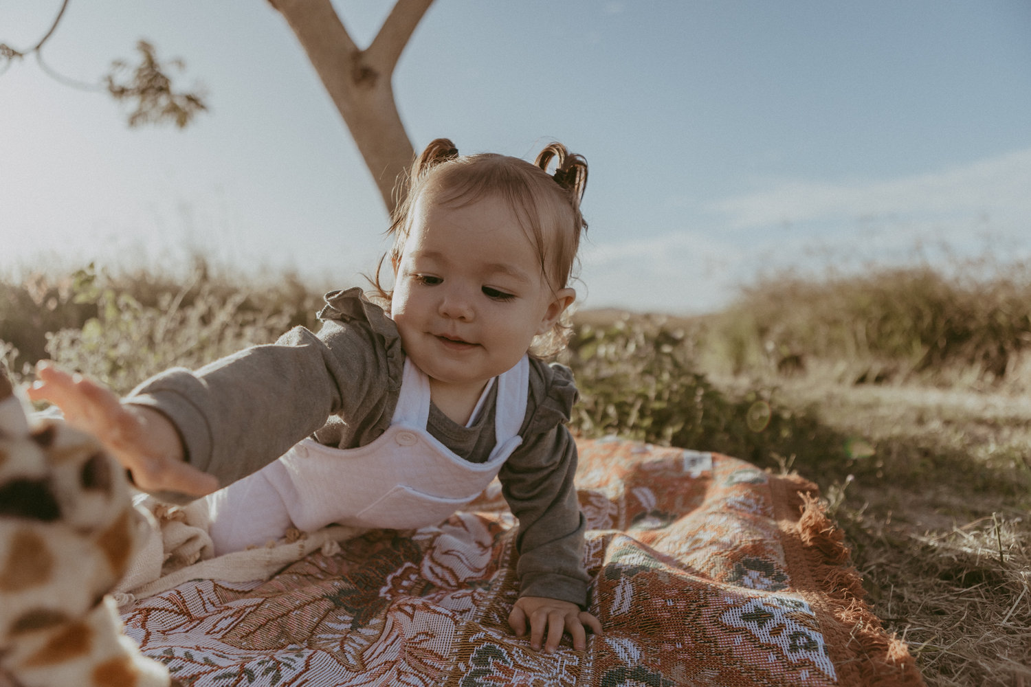 Milestone Sessions - On the Range Photography