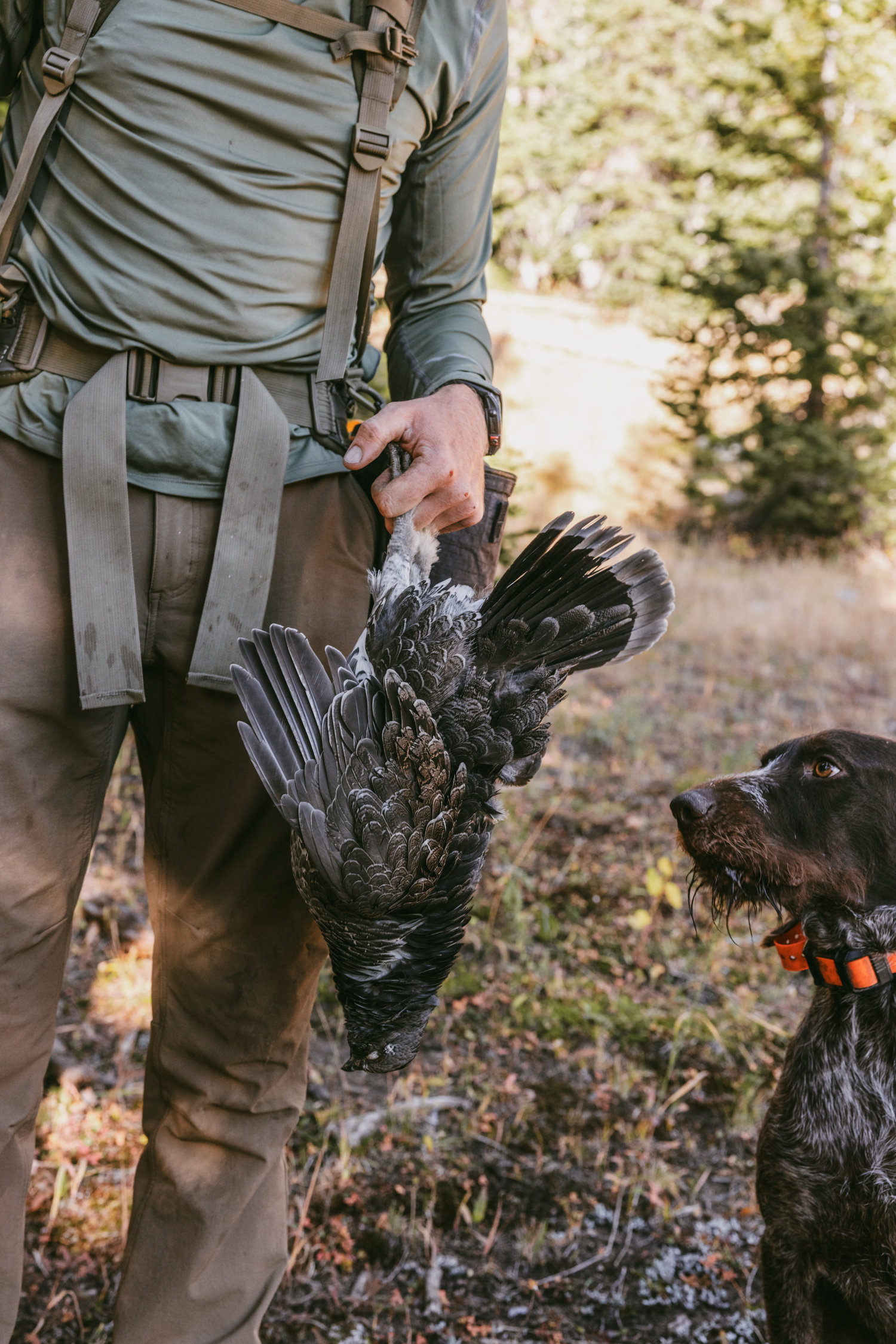 The Final Rise Sonora Sun Hoody Shirt - The Grit Magazine