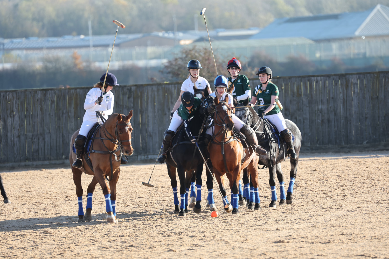 Portfolio - KB Photography