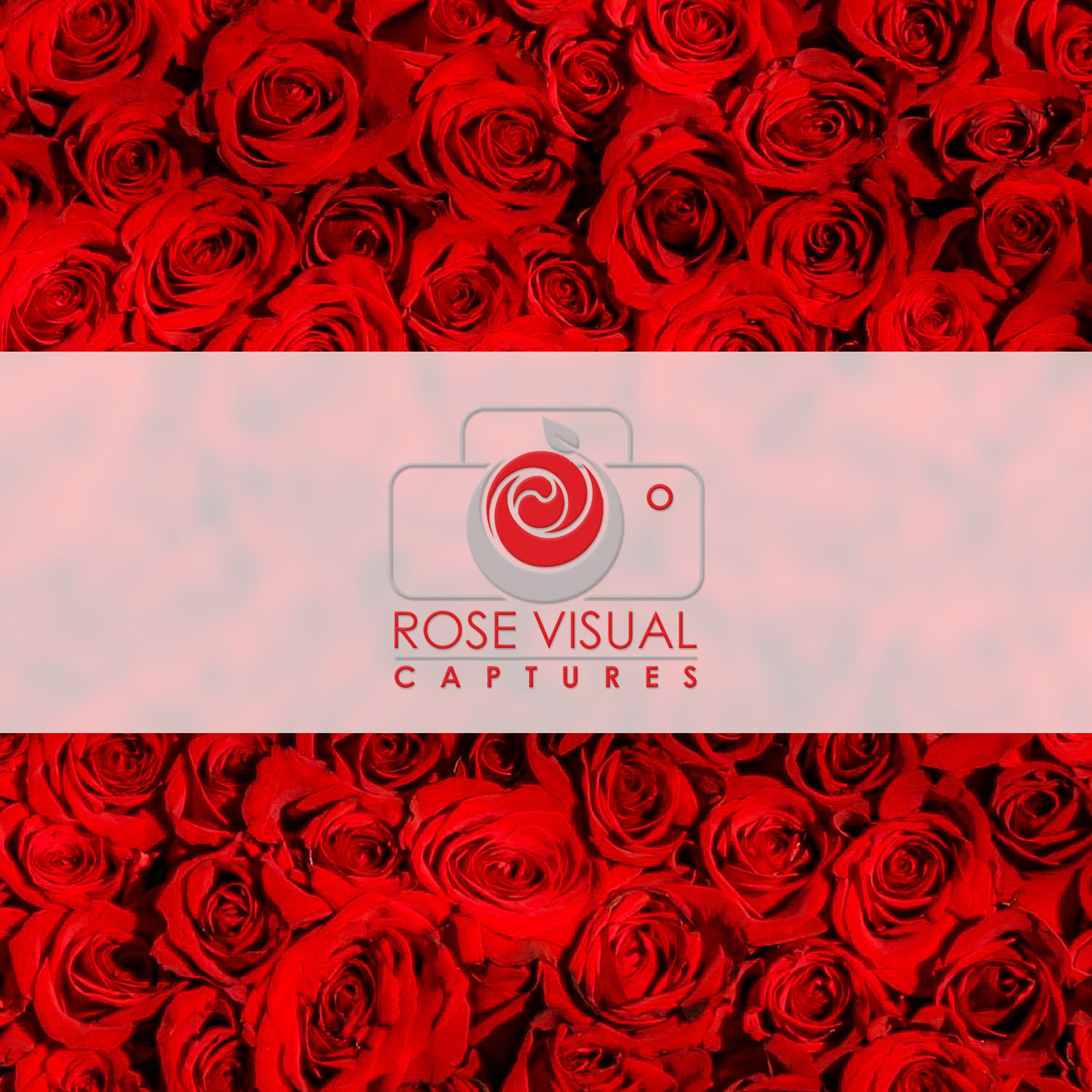 Rose Visual Captures